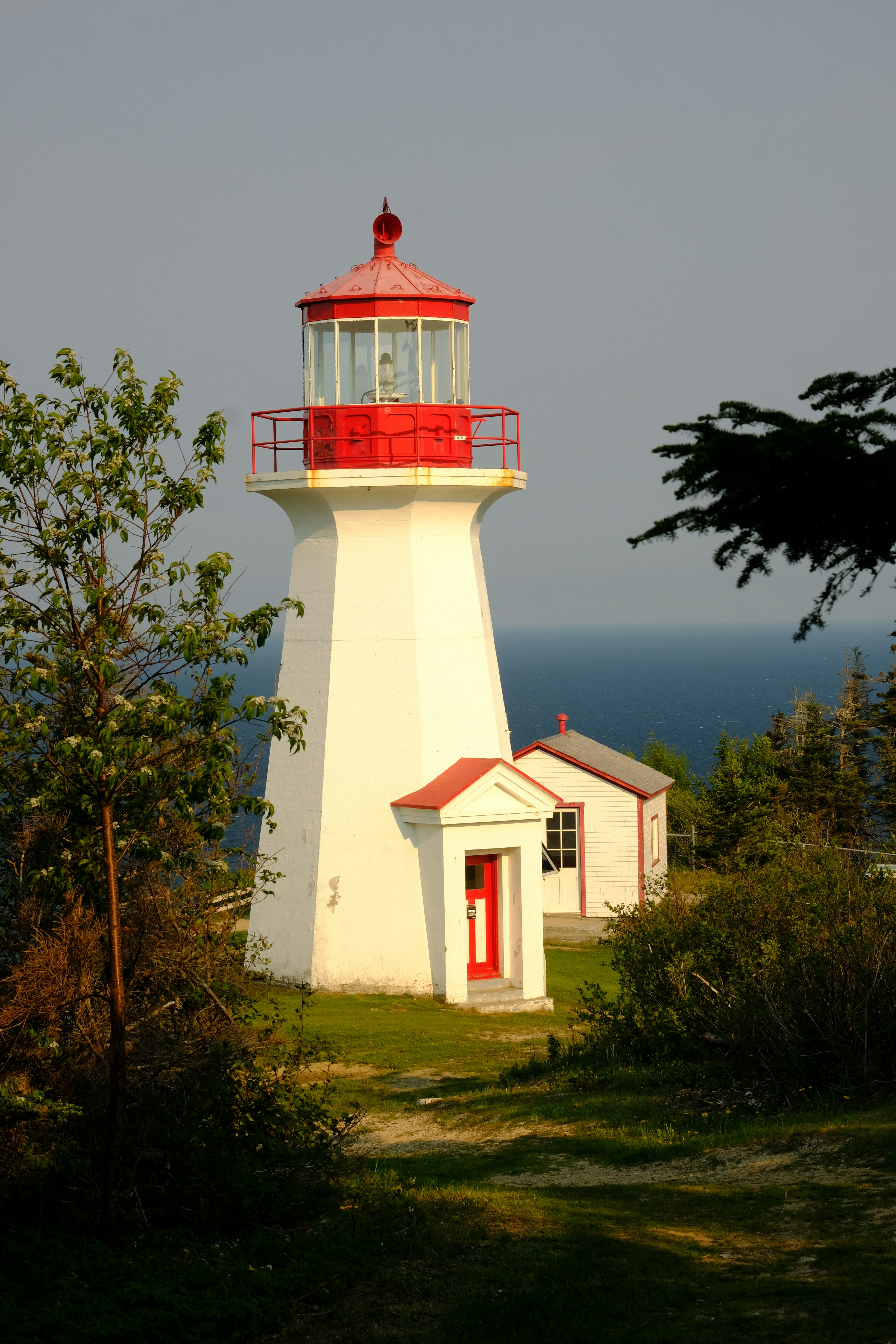 A classic lighthouse stands tall against the backdrop of the ocean, surrounded by lush greenery. The red accents contrast beautifully with the white structure.