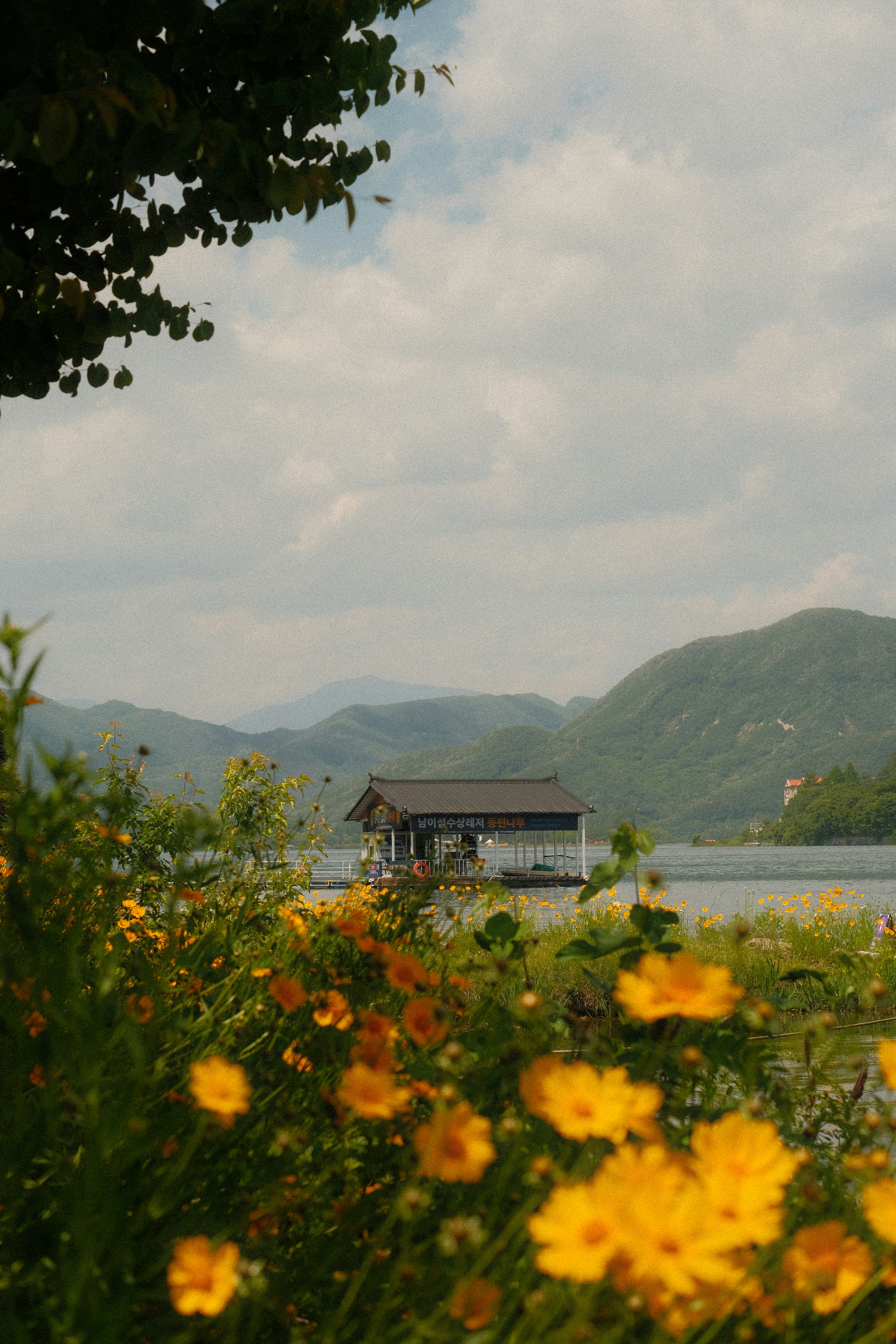 A small house floats on the lake near flowers.