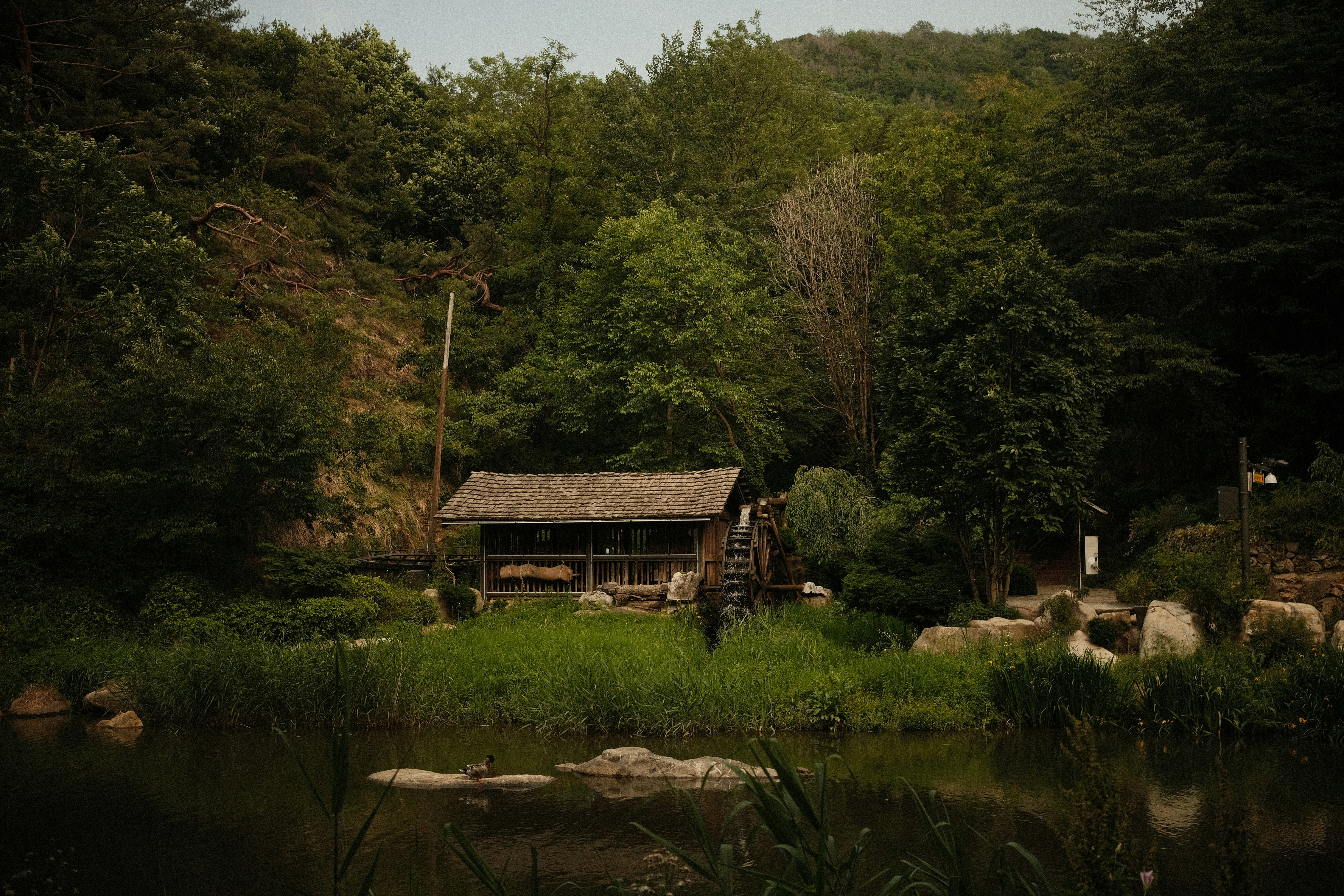 A small cabin sits beside a tranquil pond.