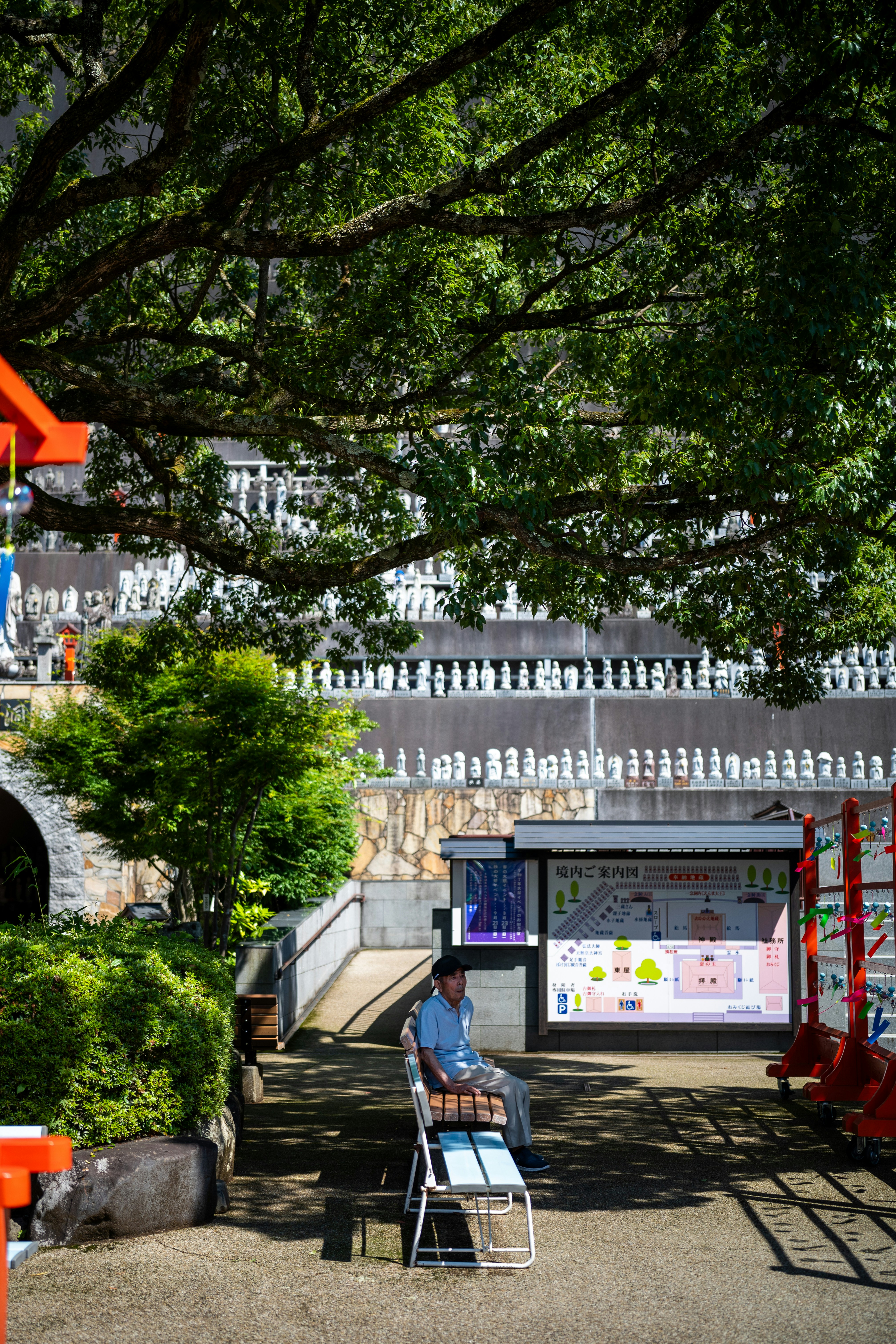 Benchside Stillness Beneath a Tree of Statues
