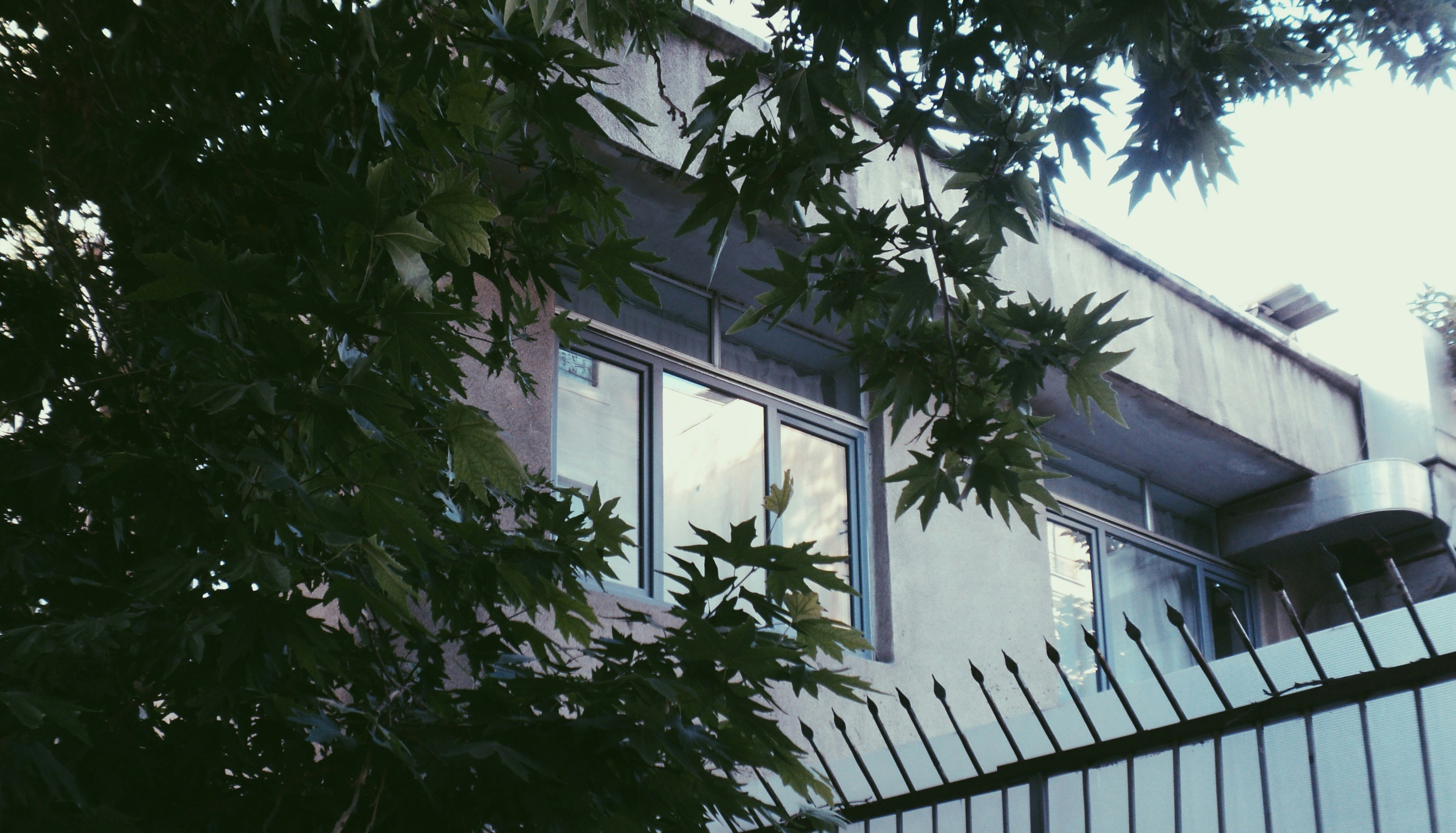 Sample photo from Sony Cyber-shot S2100