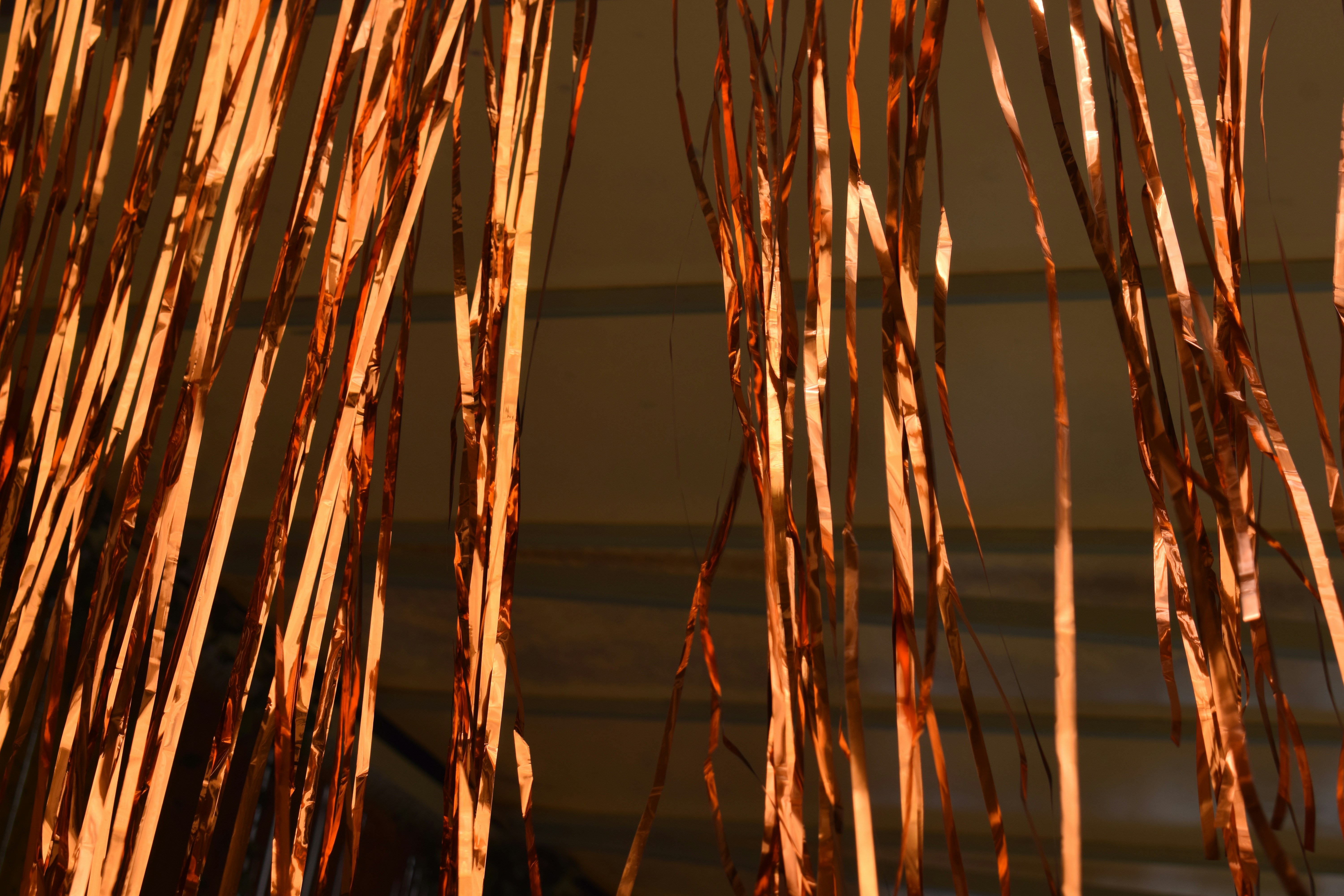 Copper-colored strands hang from above. photo – Free Wood Image on Unsplash
