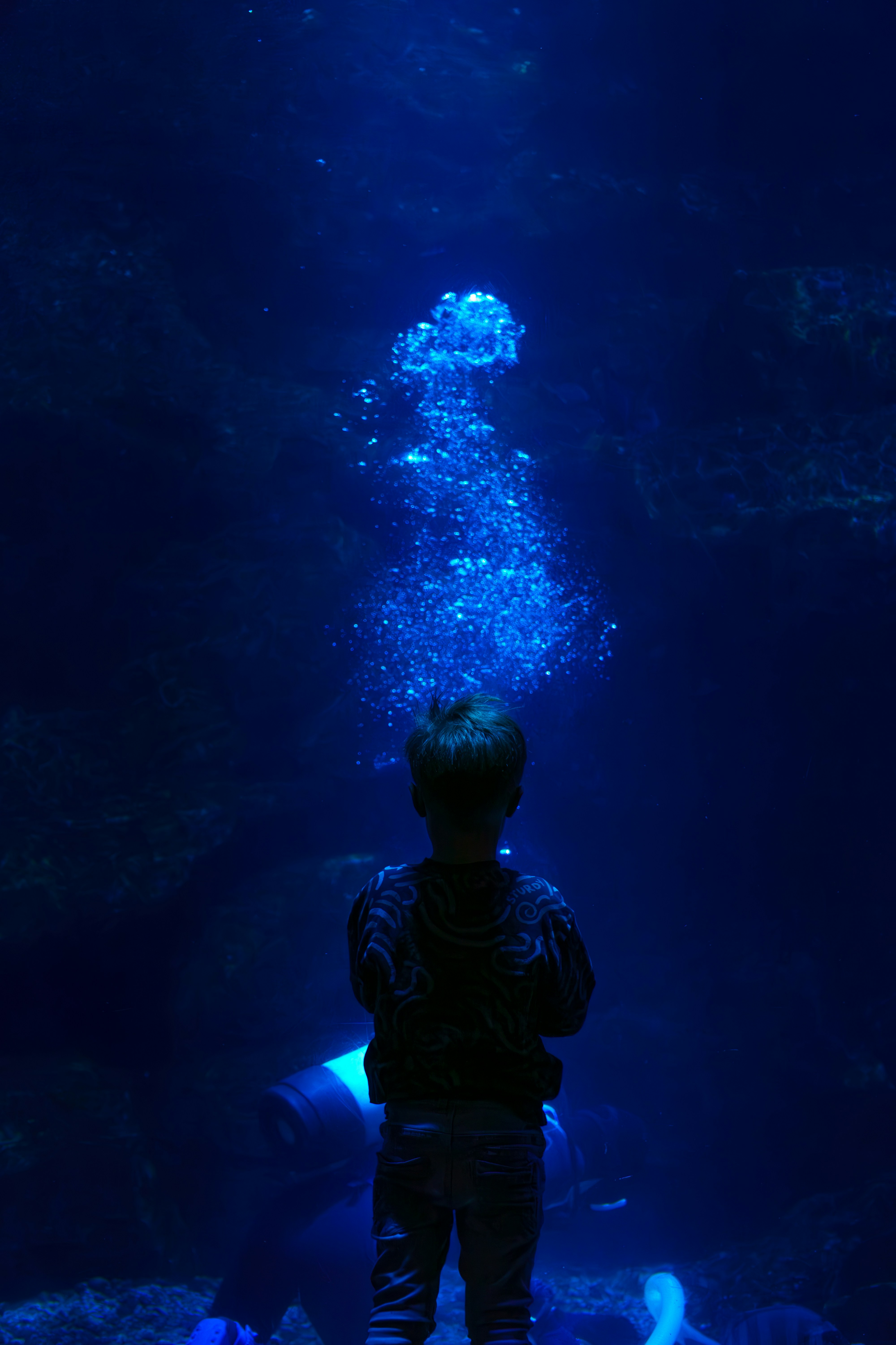 Bubbles of Curiosity: A Child's Wonder Underwater