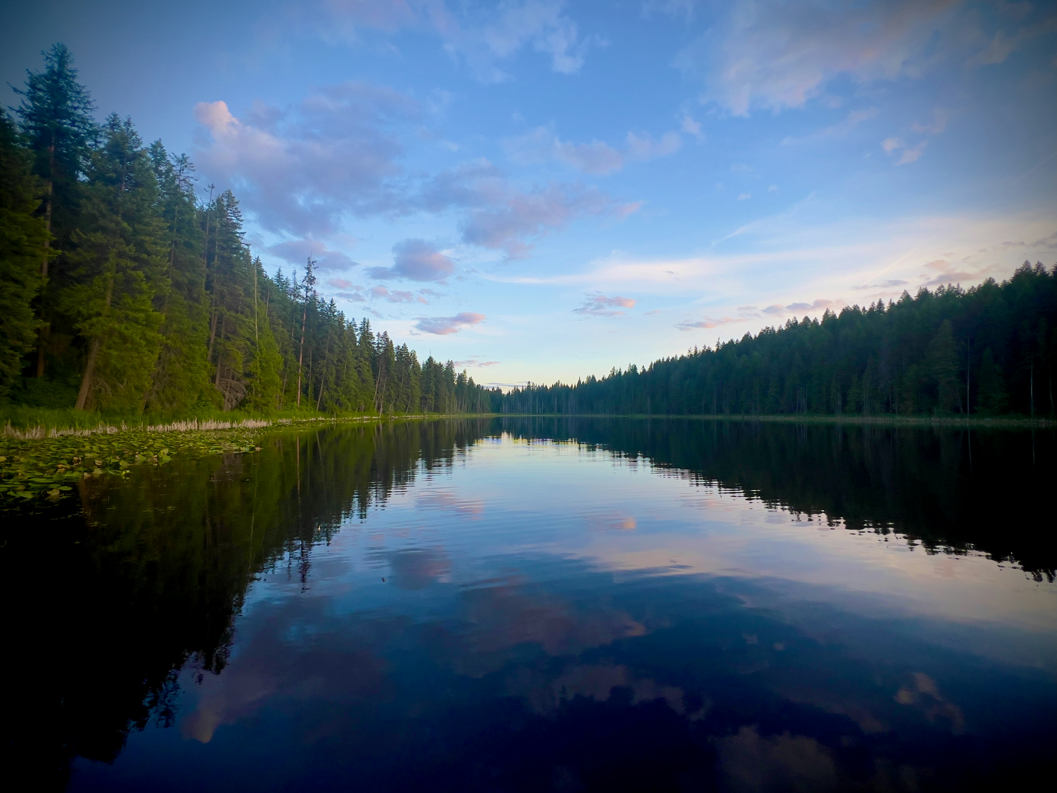 Calm lake reflecting the surrounding forest and sky during twilight, creating a peaceful atmosphere.