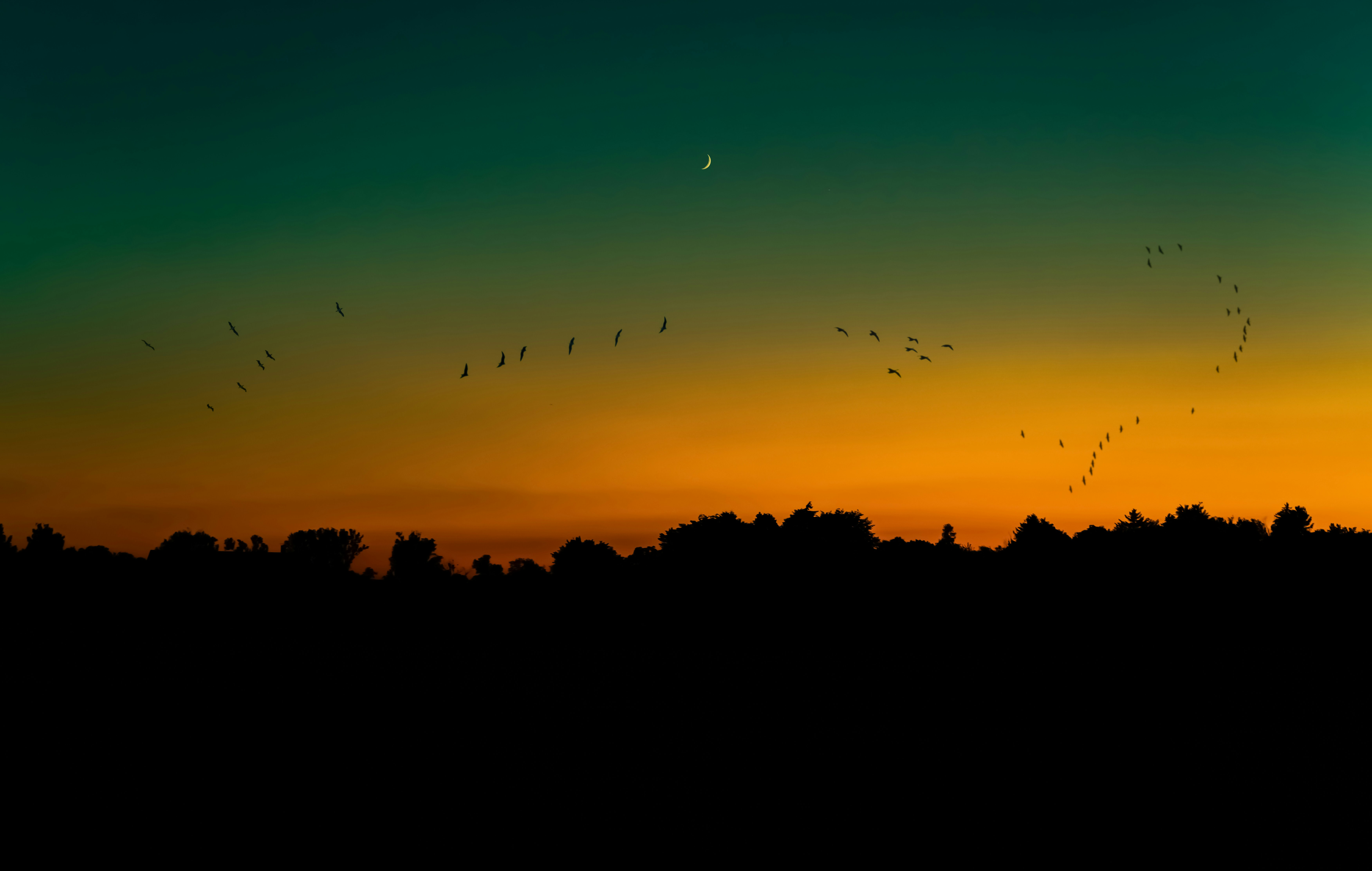 Whispers of Twilight: A Dance of Shadows and Light