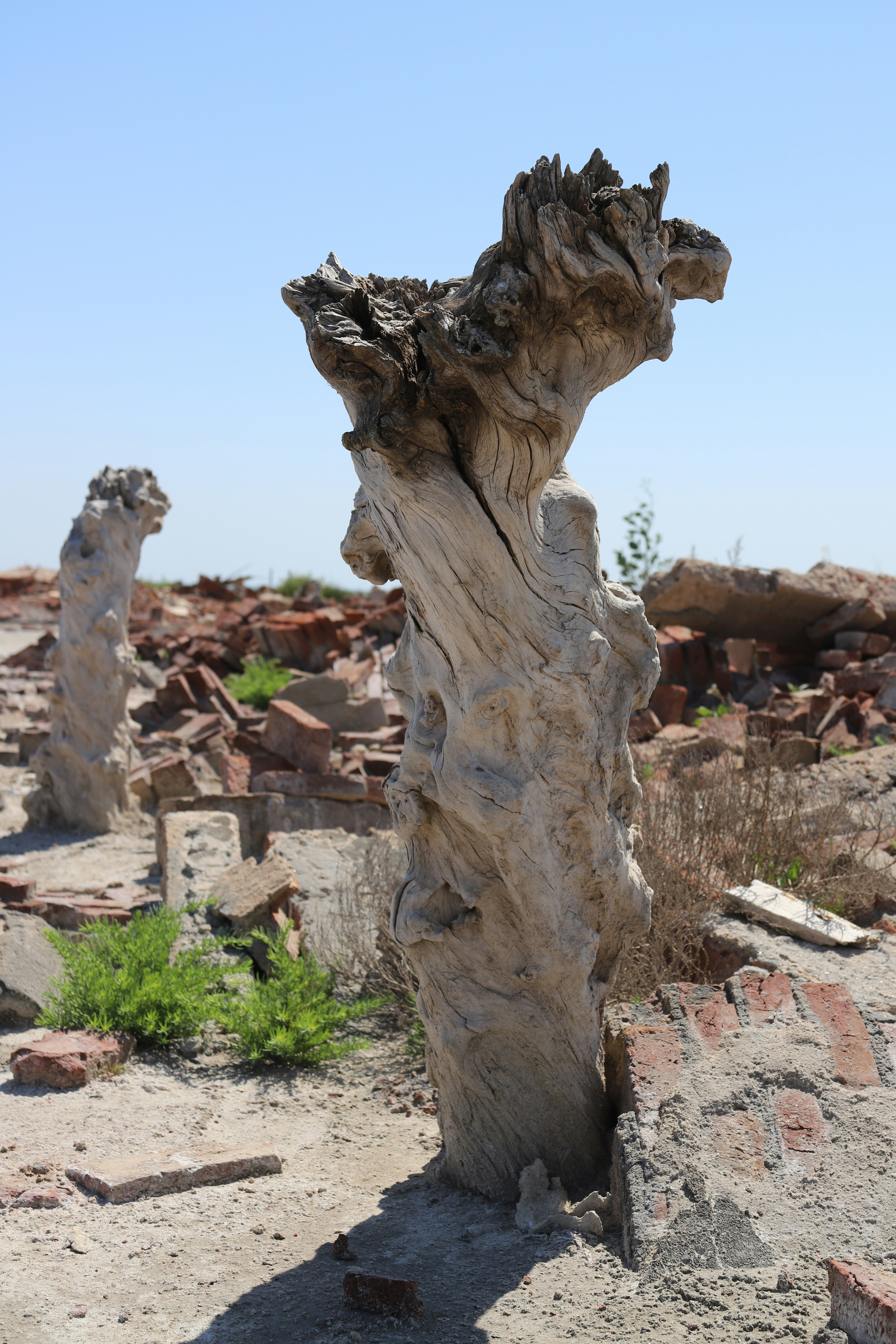 Echoes of Time: The Weathered Remnants