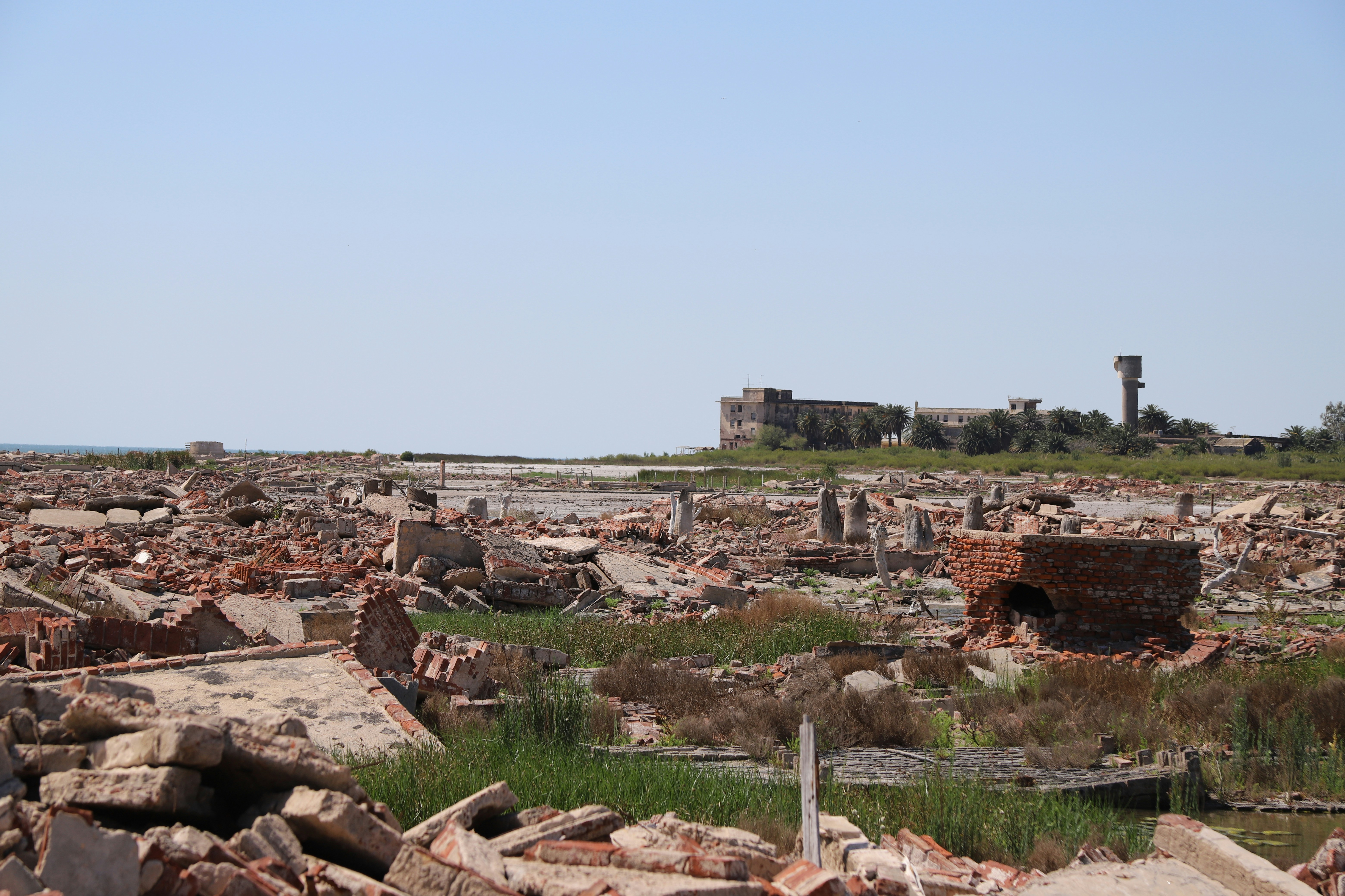 Echoes of Abandonment: A Landscape of Forgotten Foundations