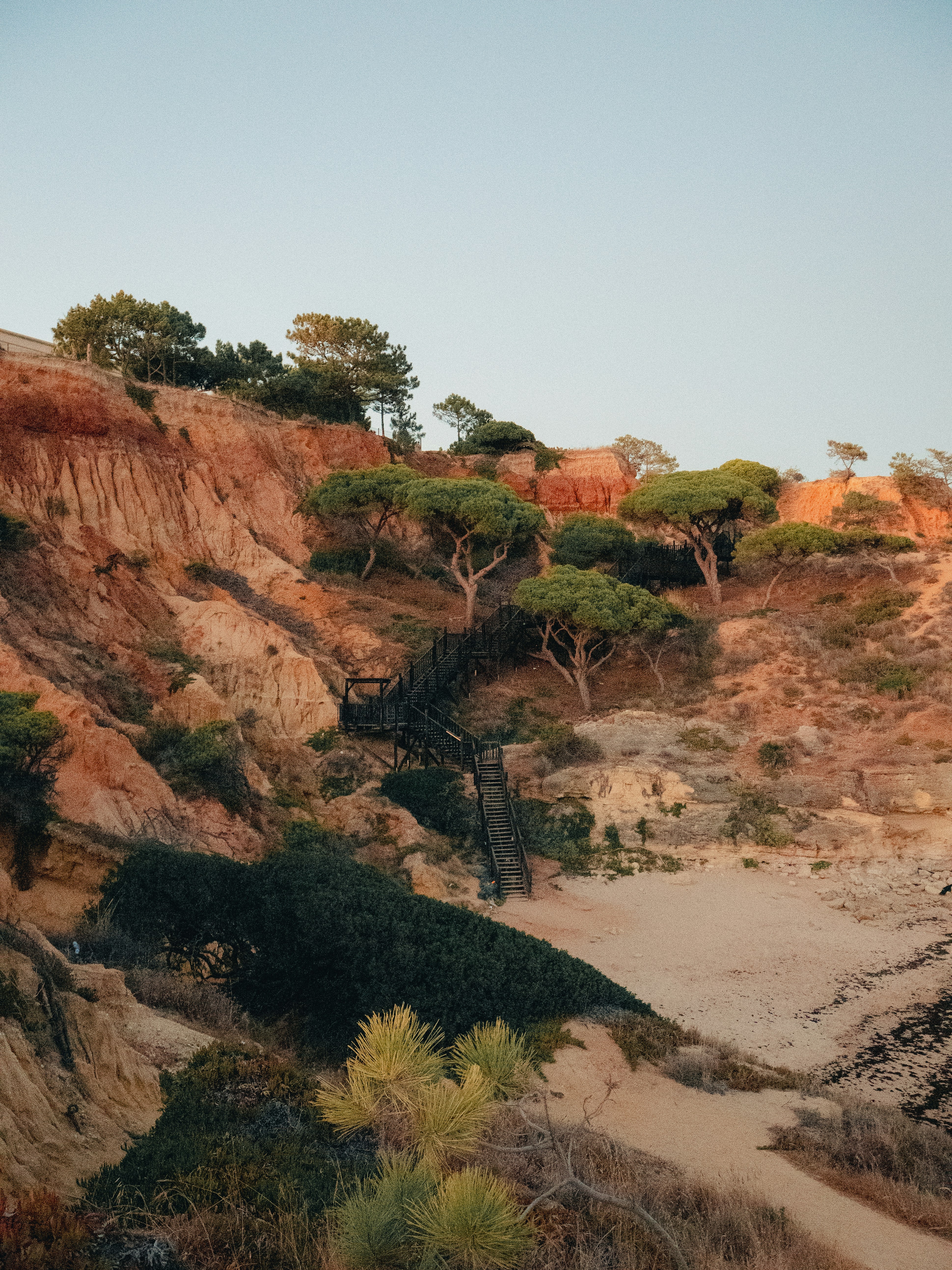 Winding wooden staircase leads down a sandy slope surrounded by lush greenery and rocky cliffs during golden hour.