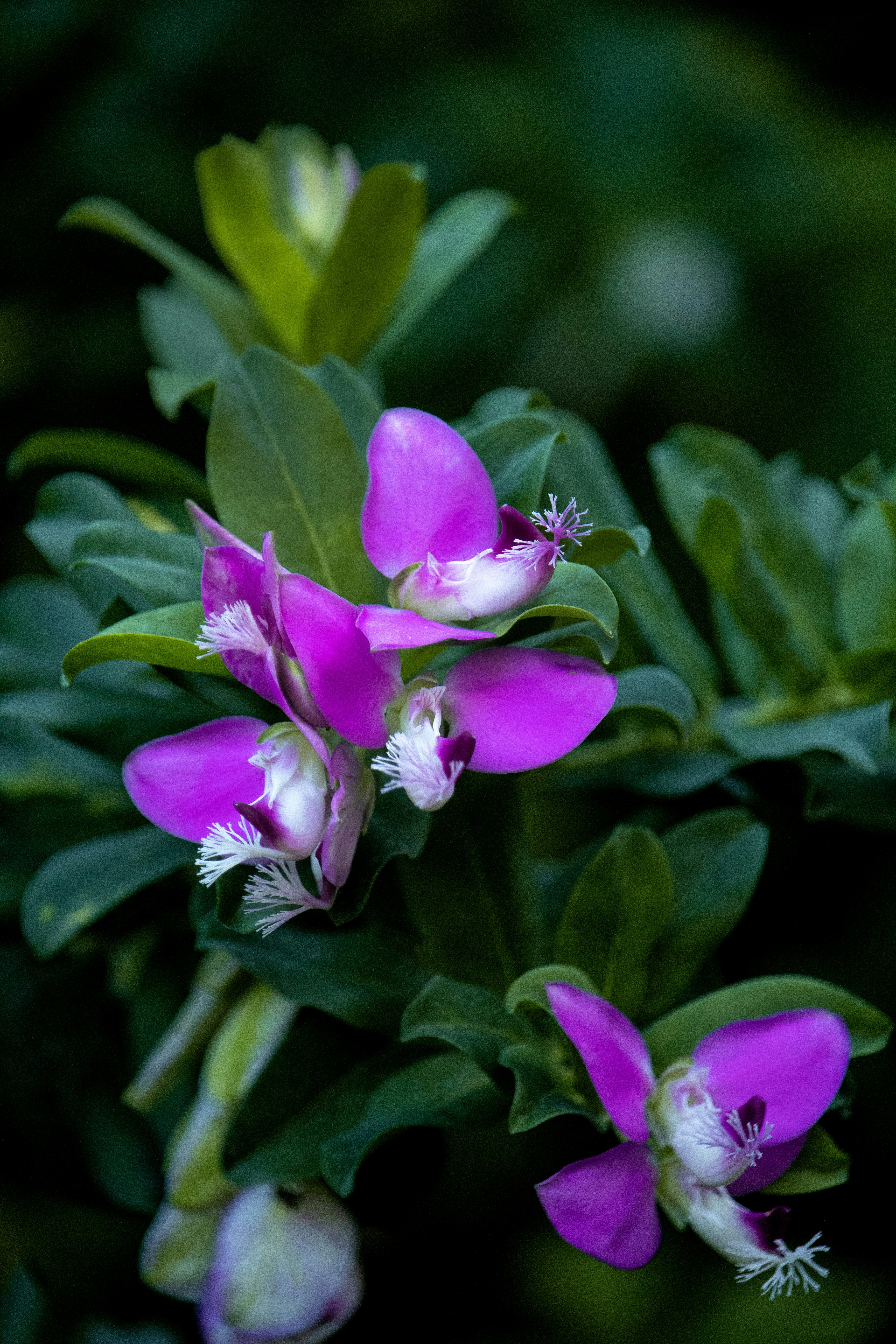 Photo by Maria Ernesto with Canon EOS 1300D