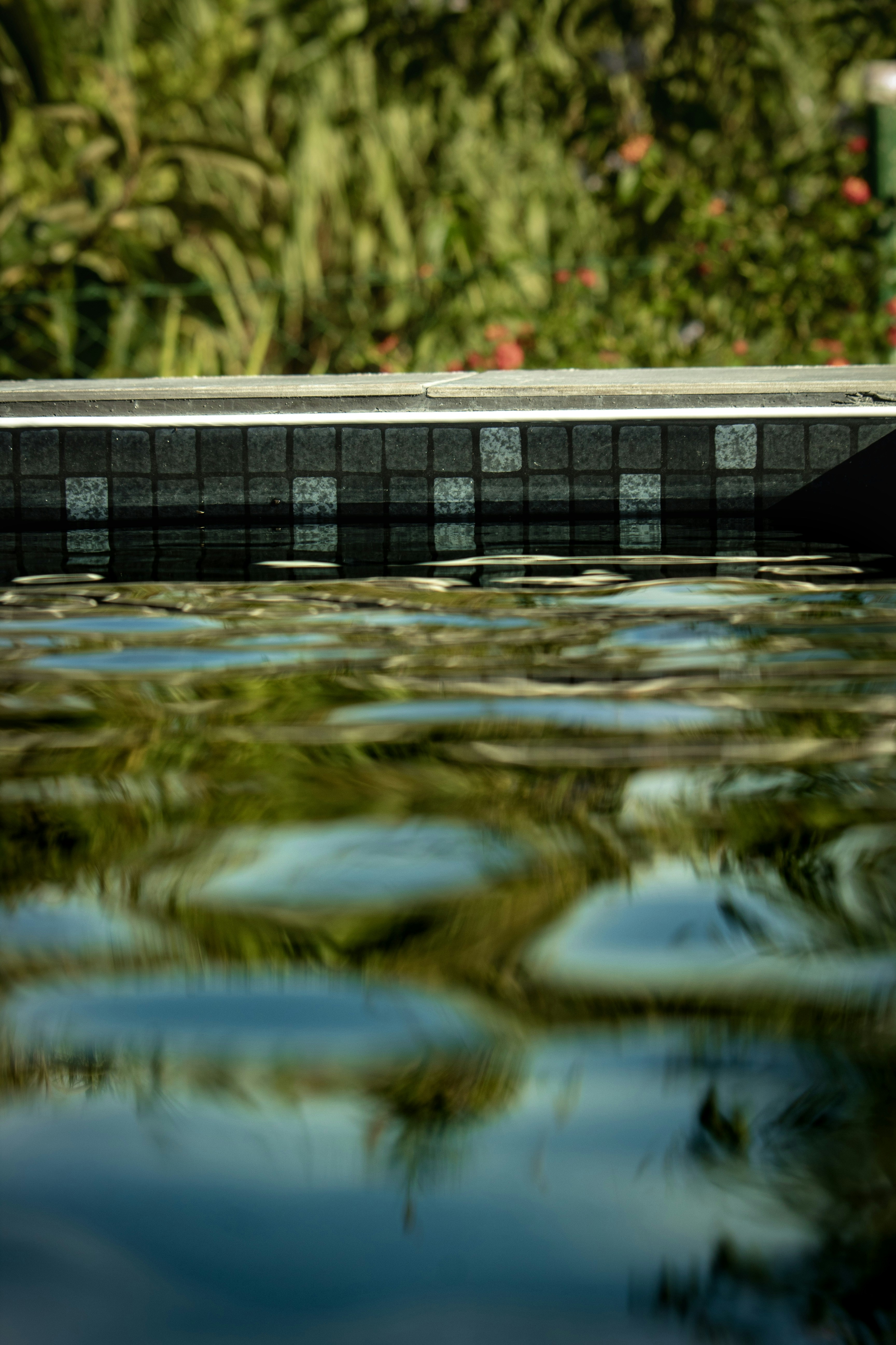 Reflections of Serenity: A Poolside Perspective