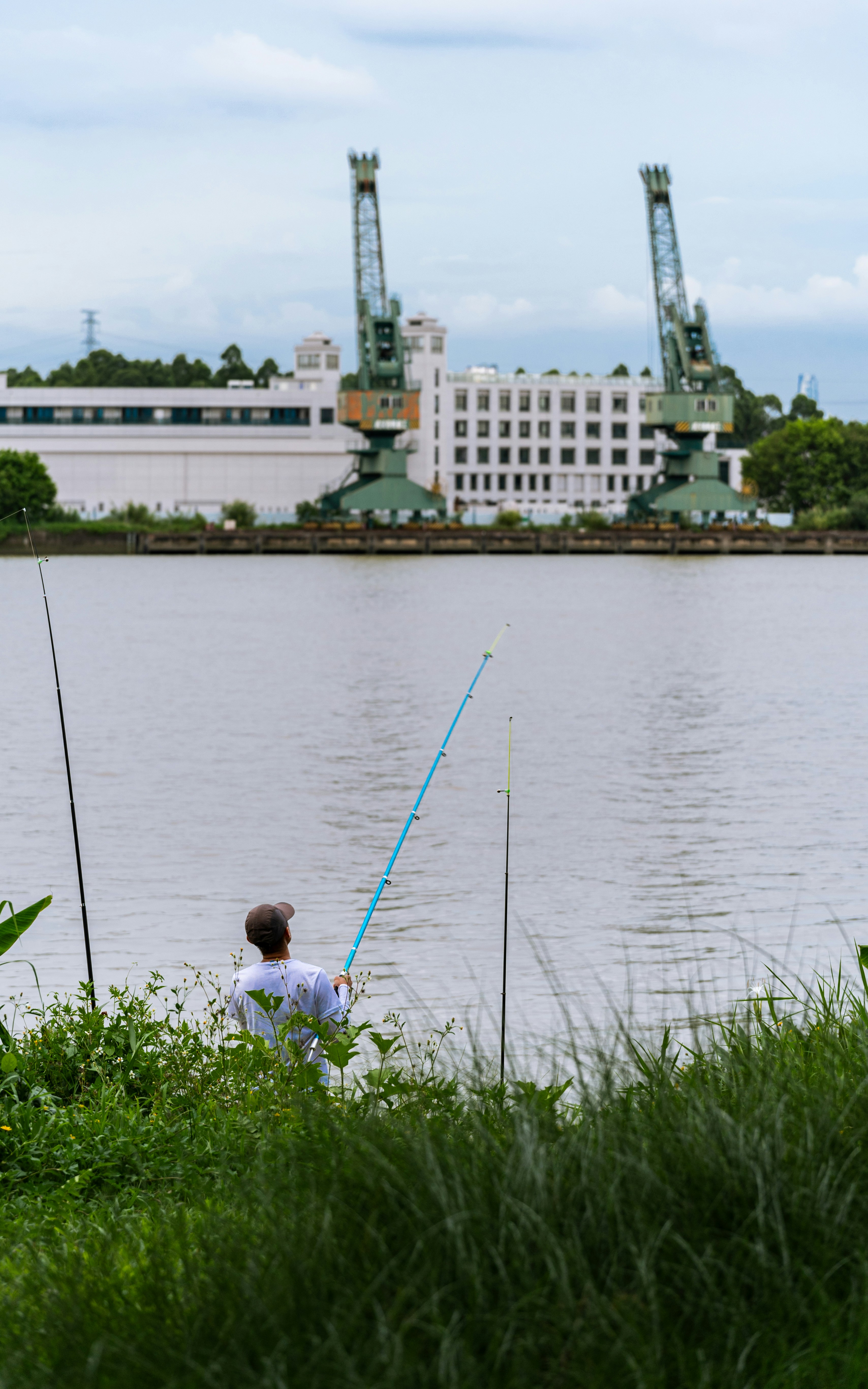 A Quiet Moment by the Water's Edge