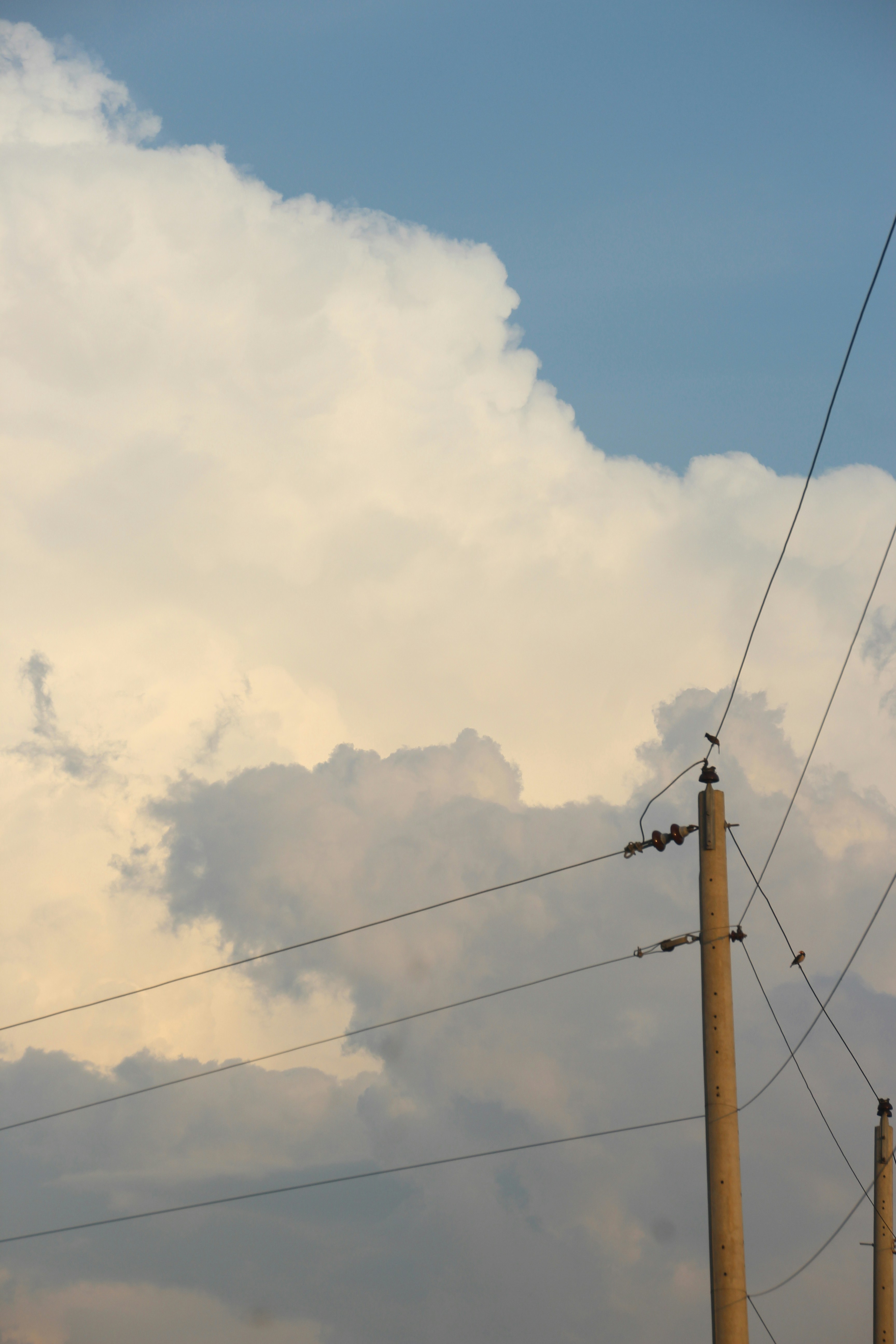 Whispers of the Sky: A Tangle of Wires and Clouds