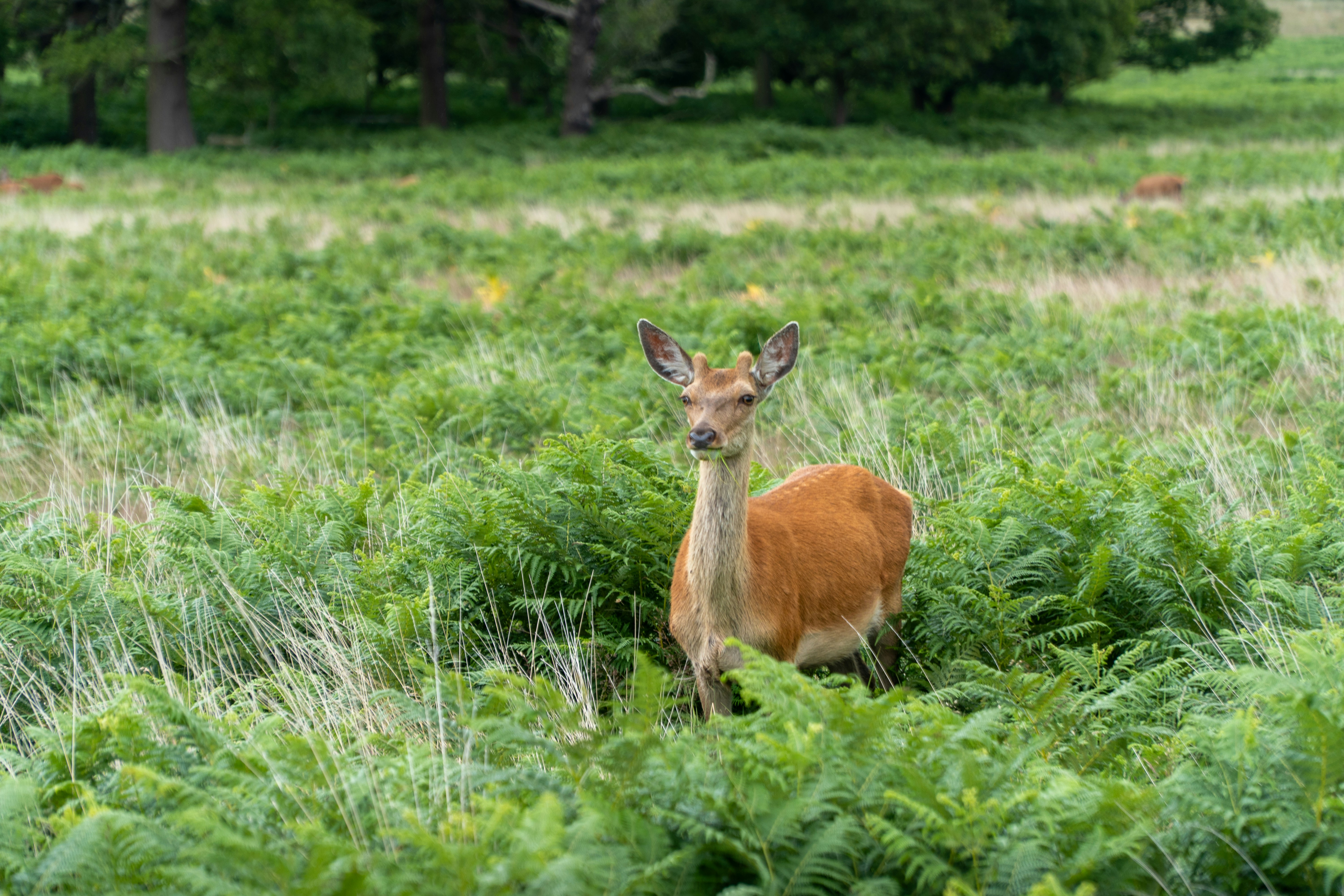 Rob Wingate (@robwingate) | Unsplash Photo Community