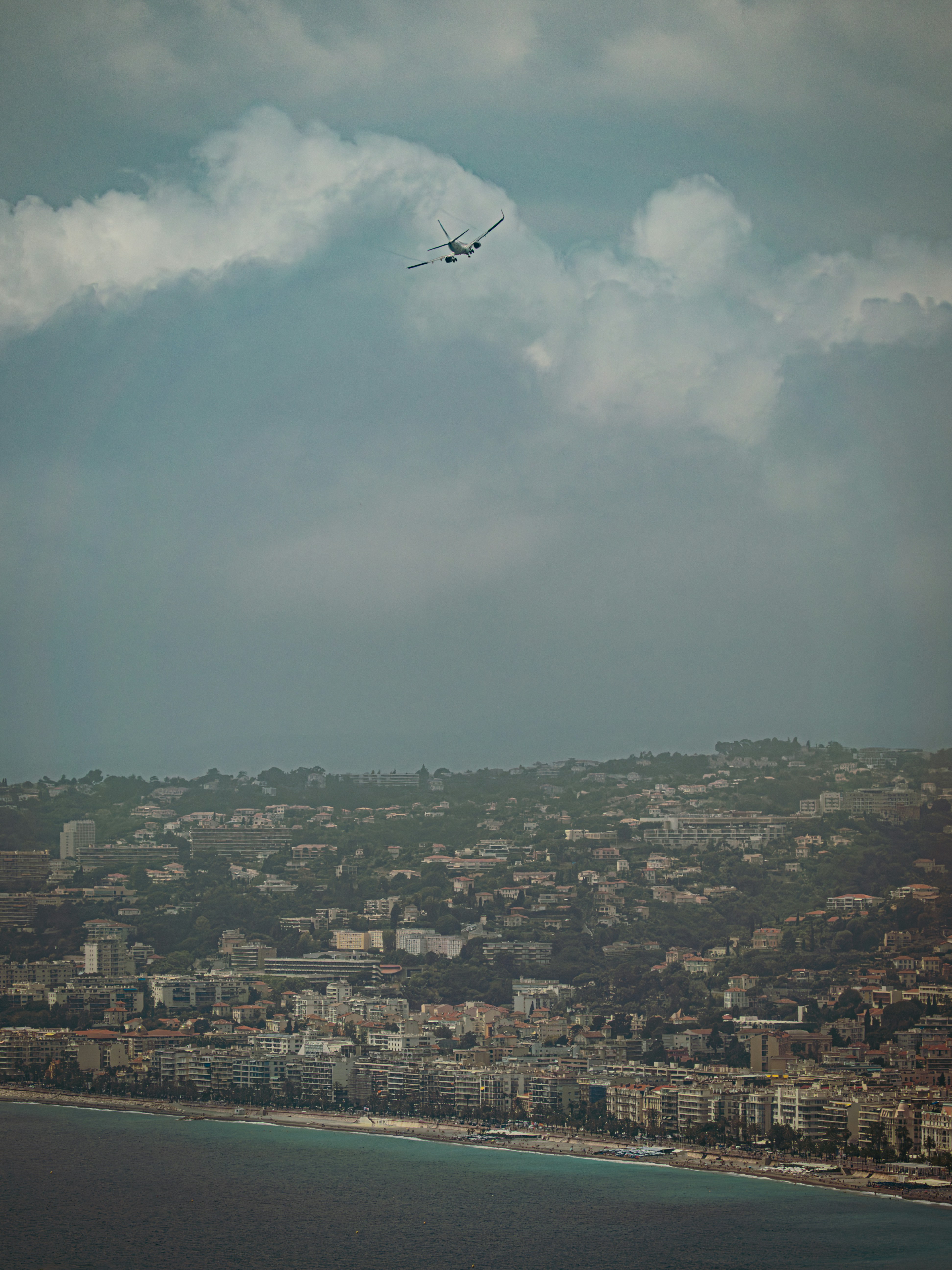 Soaring Above the Coastal Canvas