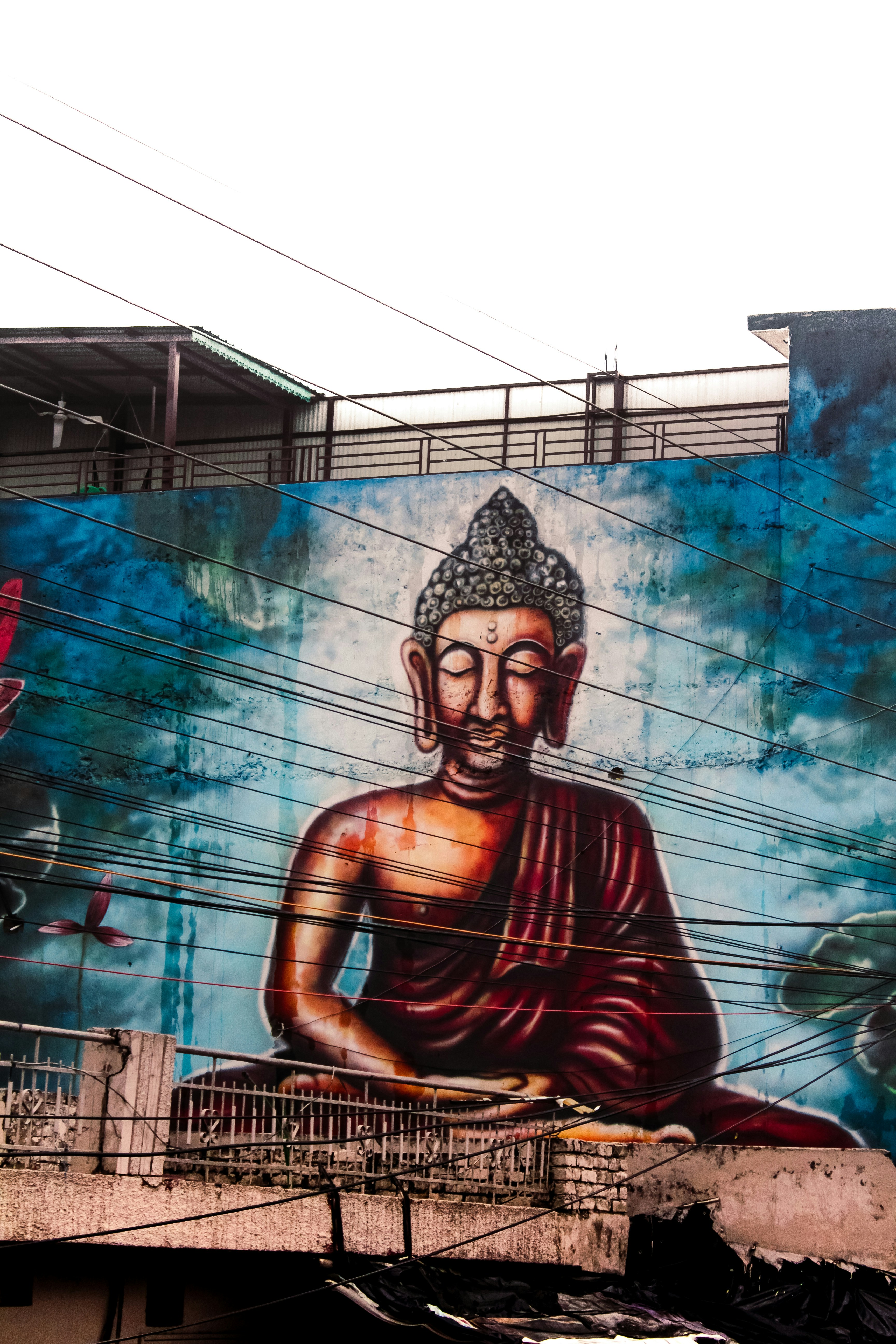 Serenity Amidst Urban Chaos
