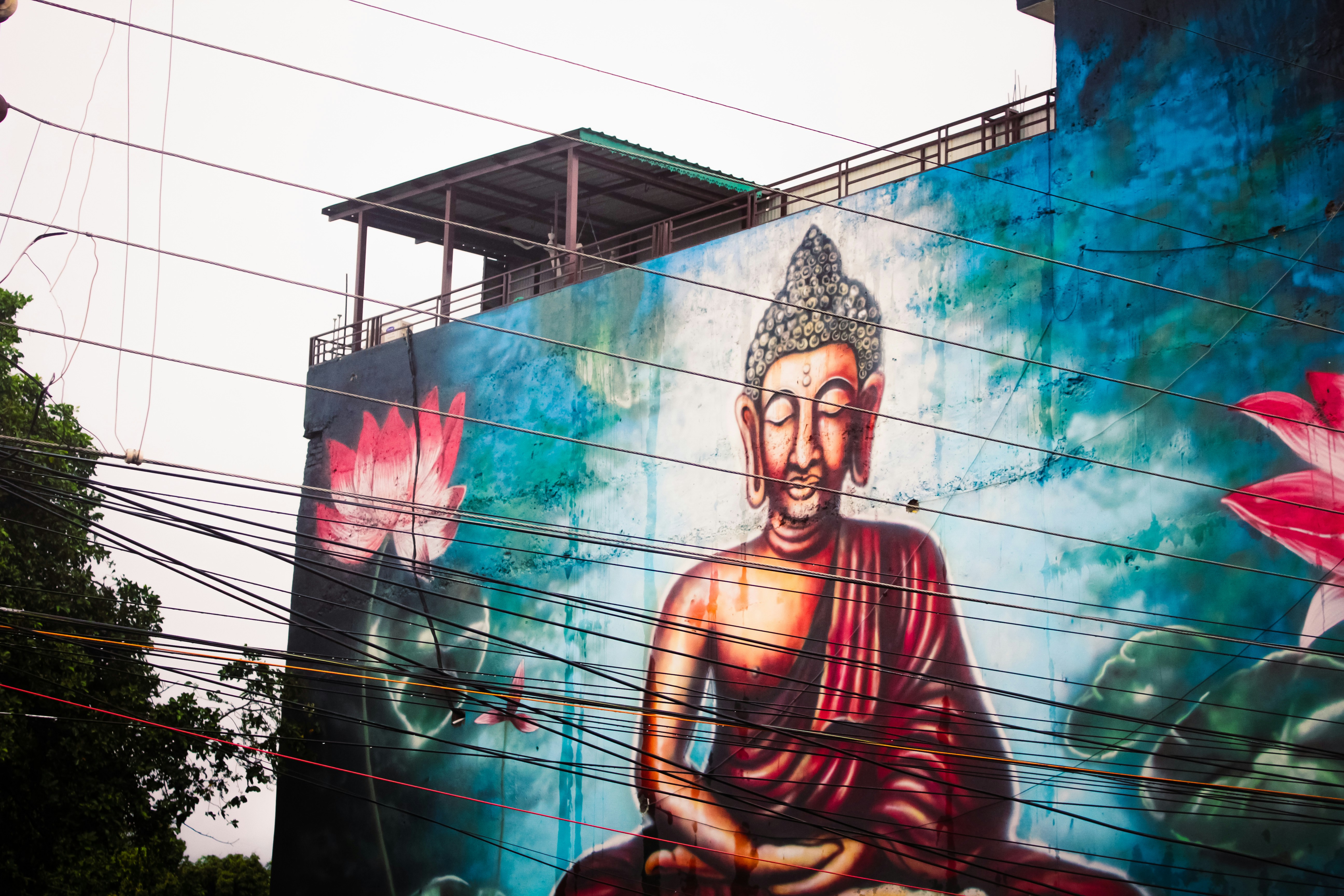 Buddha on the Blue Wall: Tranquility Framed by Urban Wiring