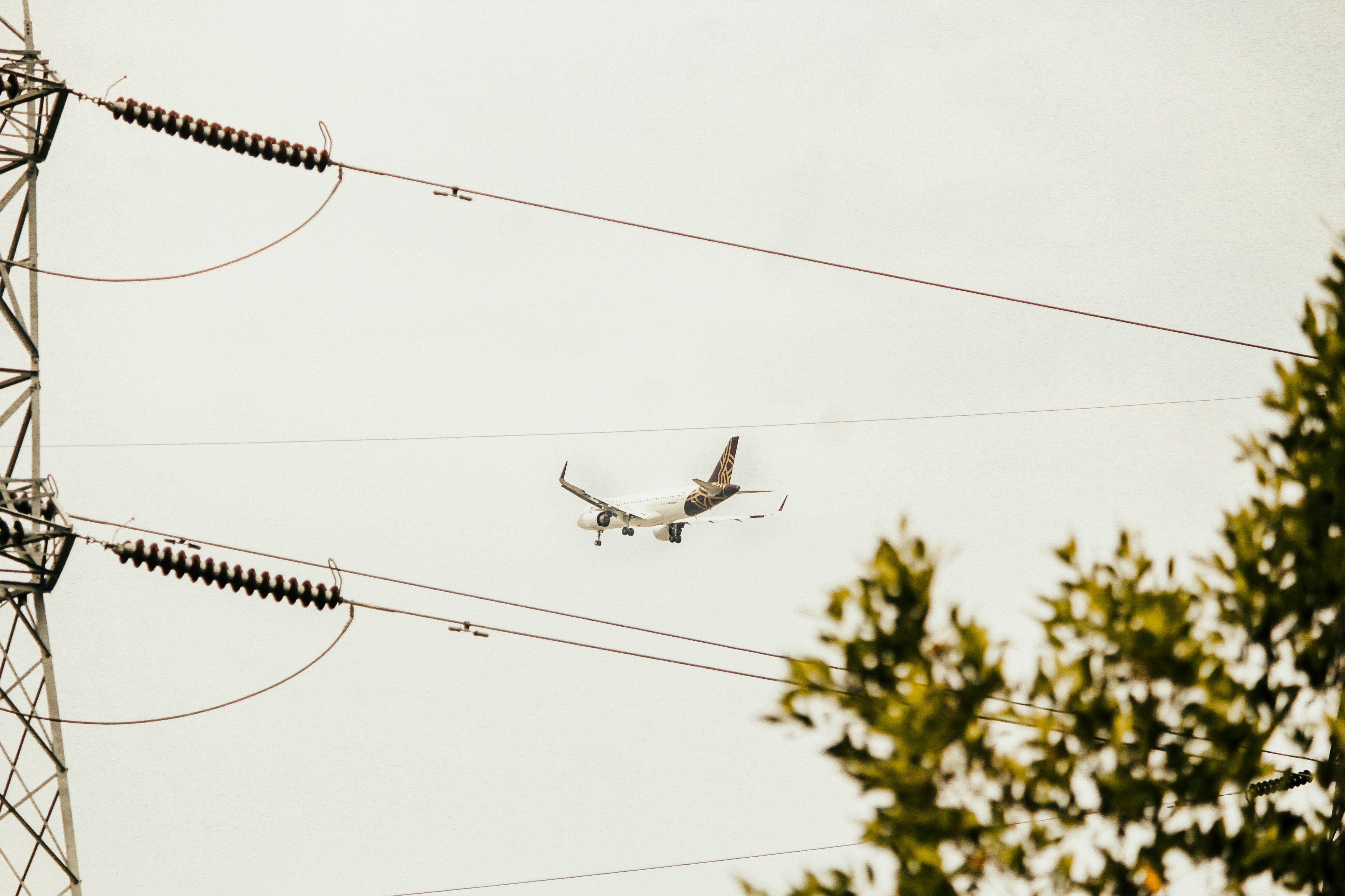 Commercial airplane descending towards the runway, framed by power lines and foliage below.