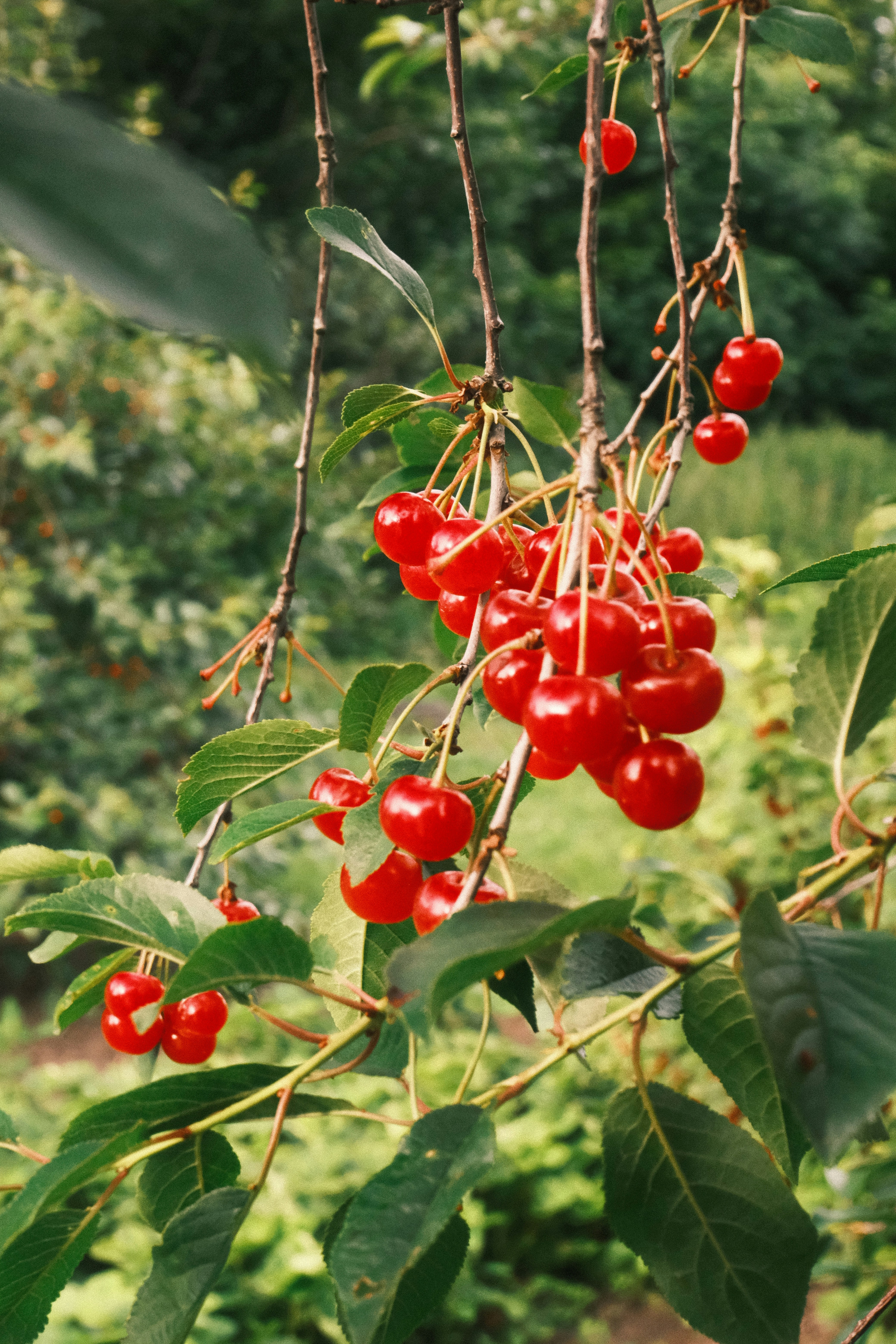 Photo by Tatiana Rudneva with Fujifilm X-T30 II