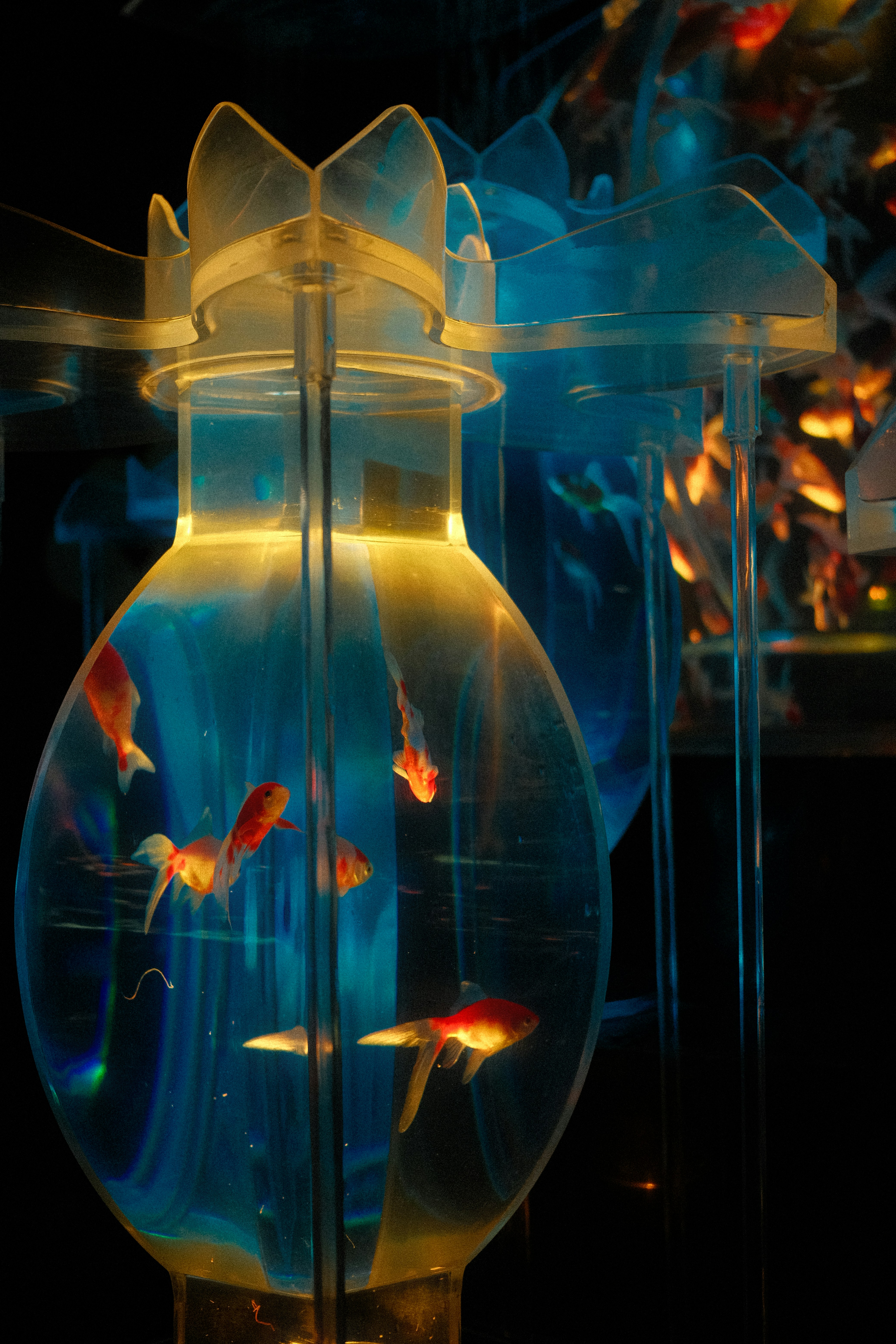 Mastering Fish Tank Heating and Cooling: 12 Expert Tips & Gear (2025) ️ ...