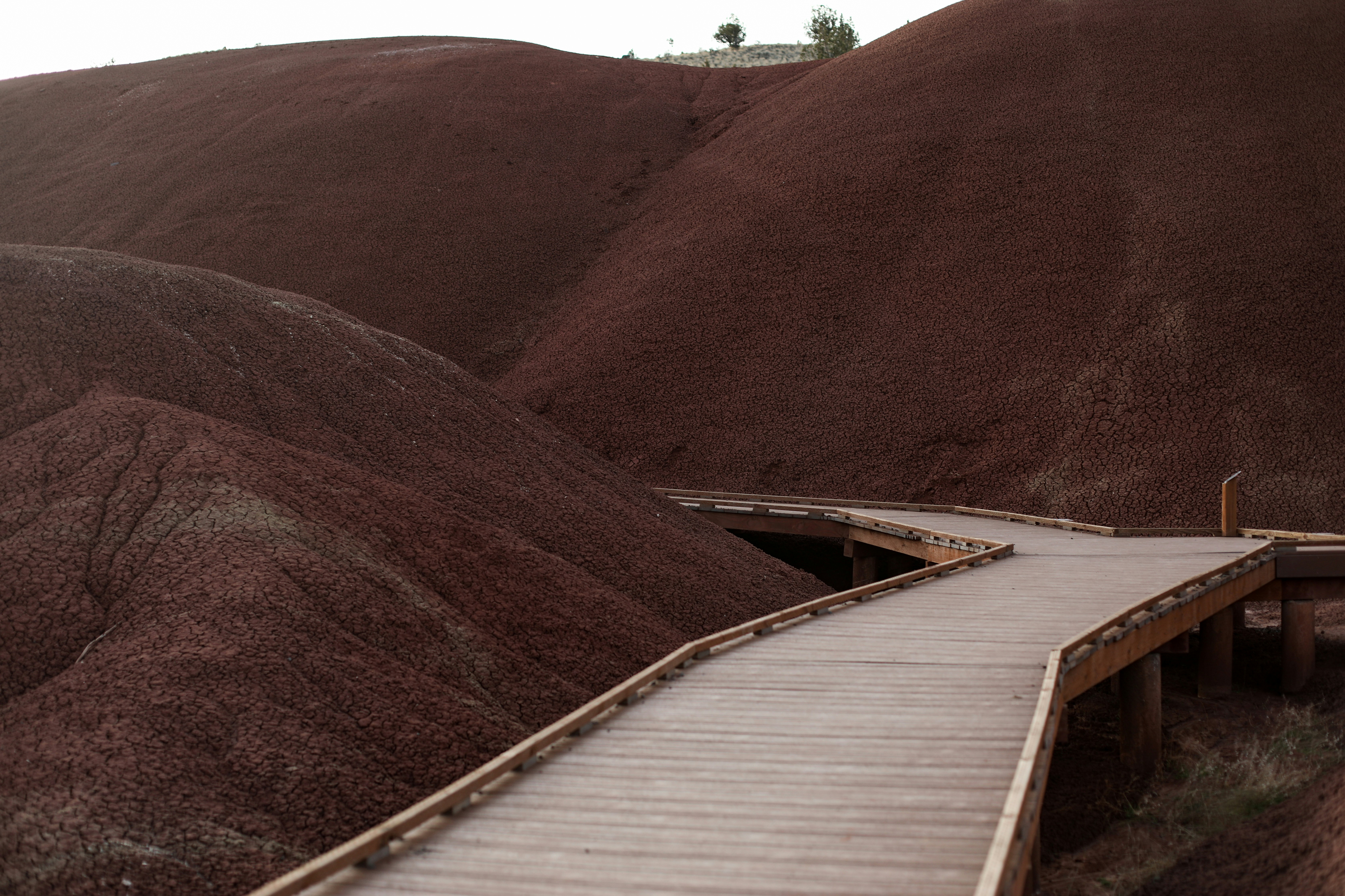 A wooden walkway winds through red hills.