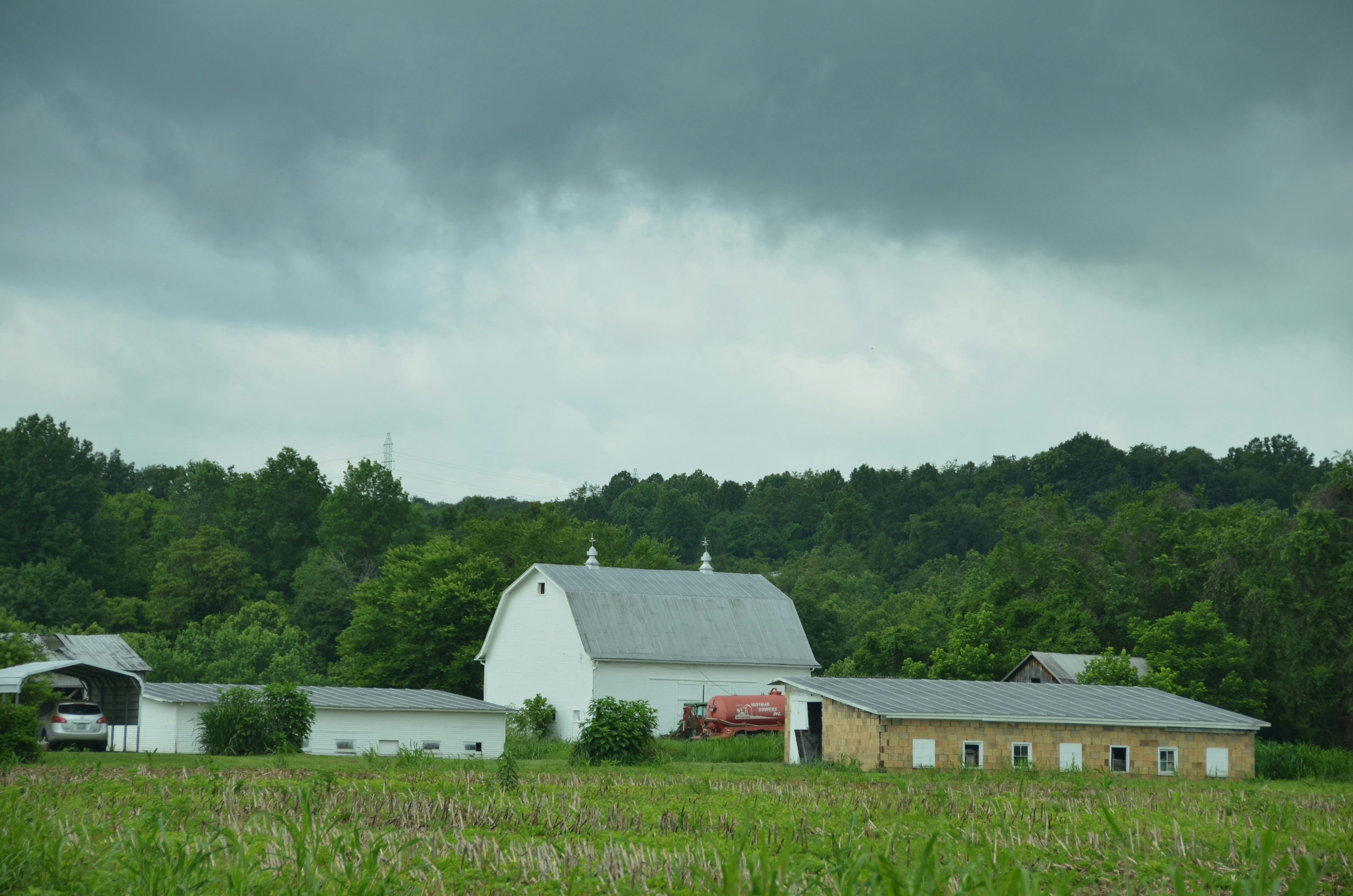 Whispers of the Past: A Rural Homestead Under Gathering Clouds