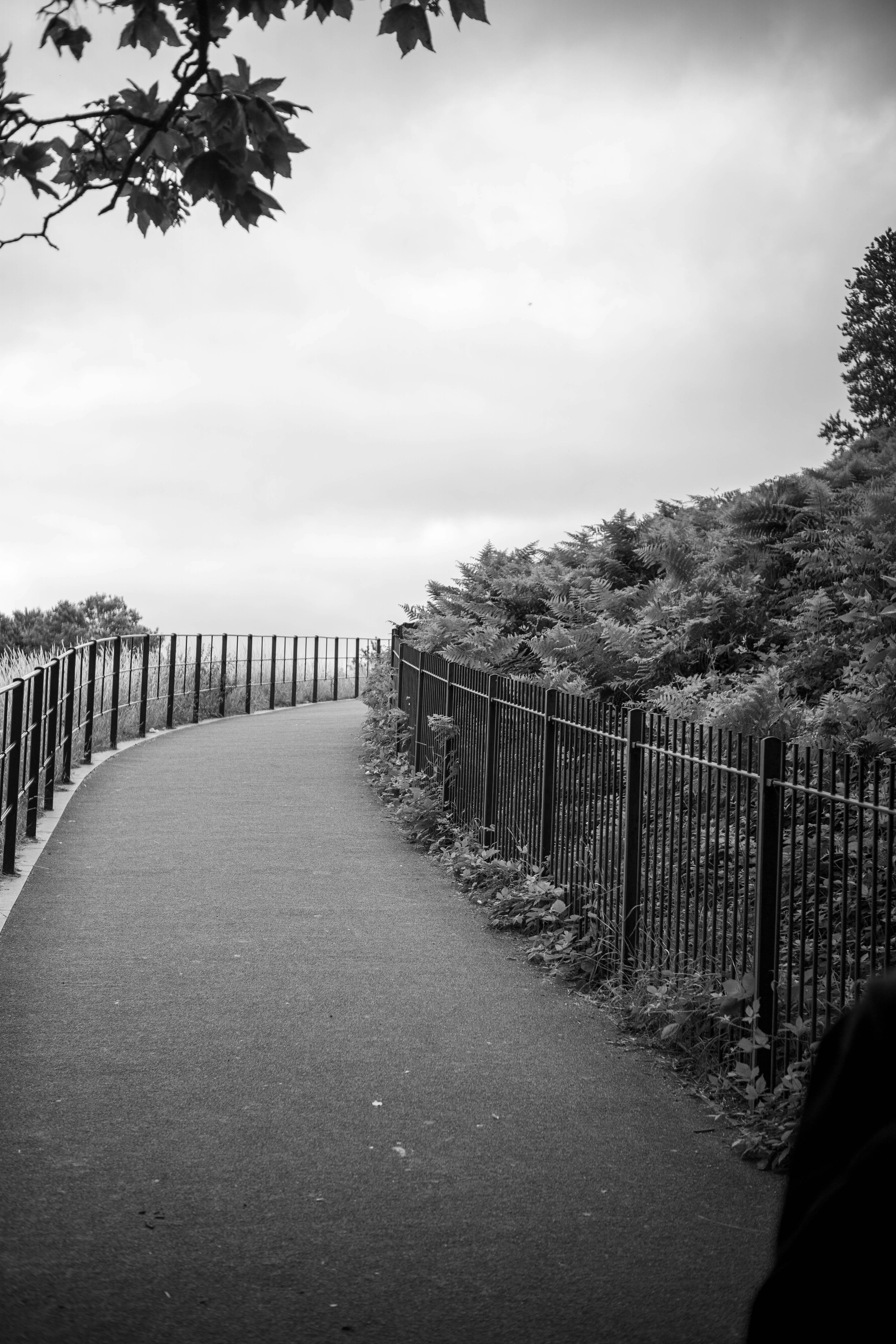 Curved pathway bordered by a wrought-iron fence, leading through lush greenery under a cloudy sky.