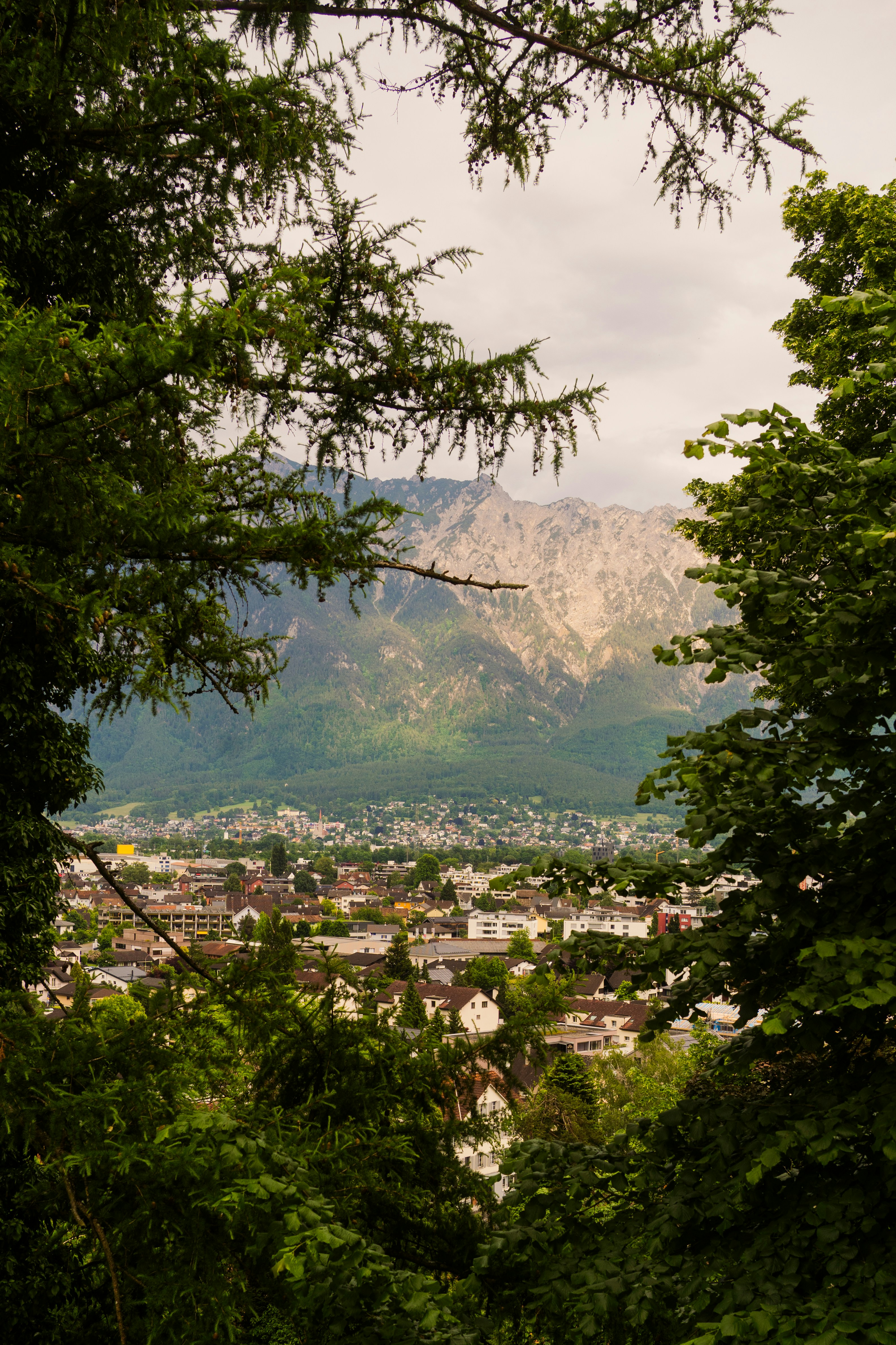 Lush greenery frames a picturesque view of a town nestled against majestic mountains, showcasing a harmonious blend of nature and urban life.