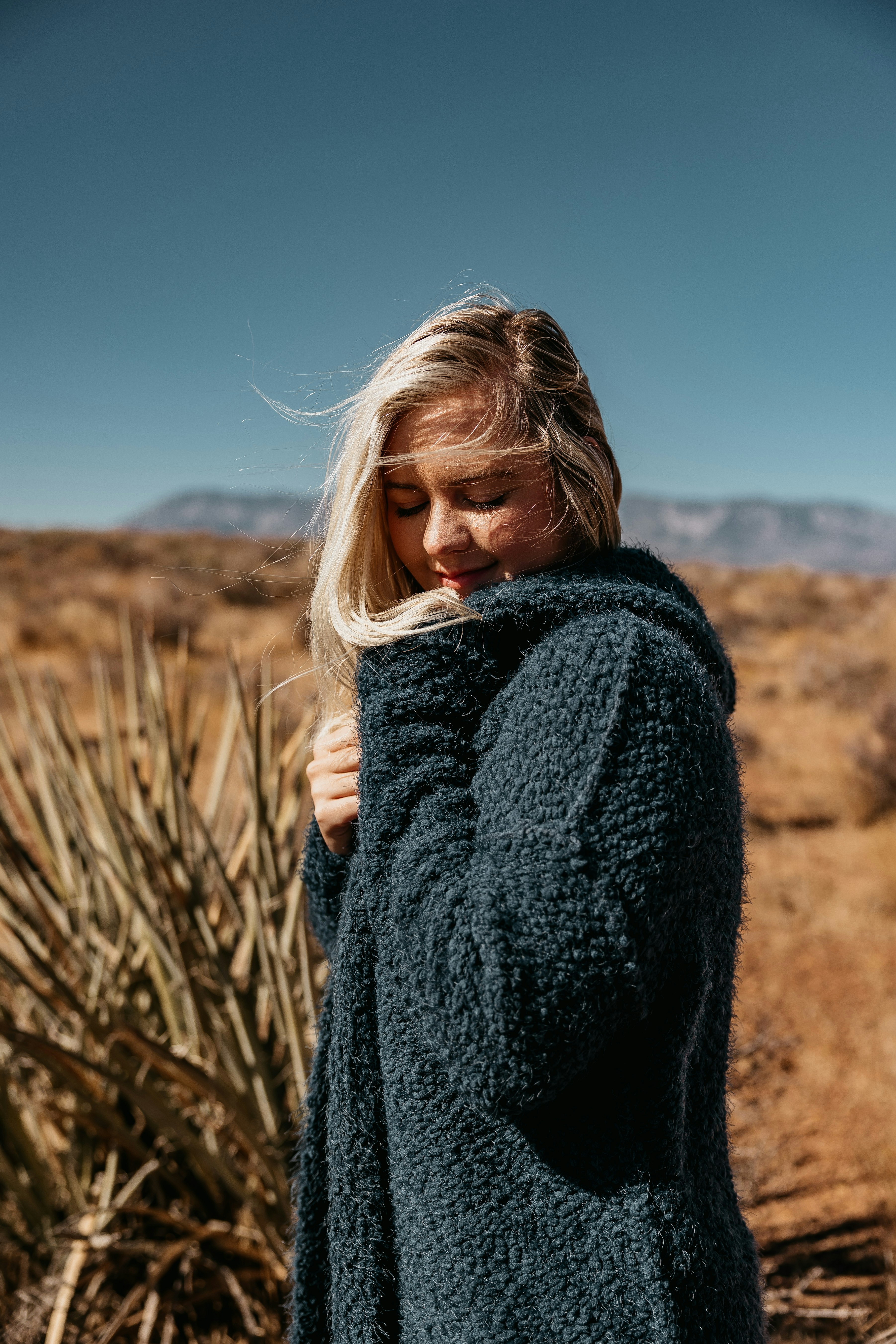 Whispers of the Desert Breeze