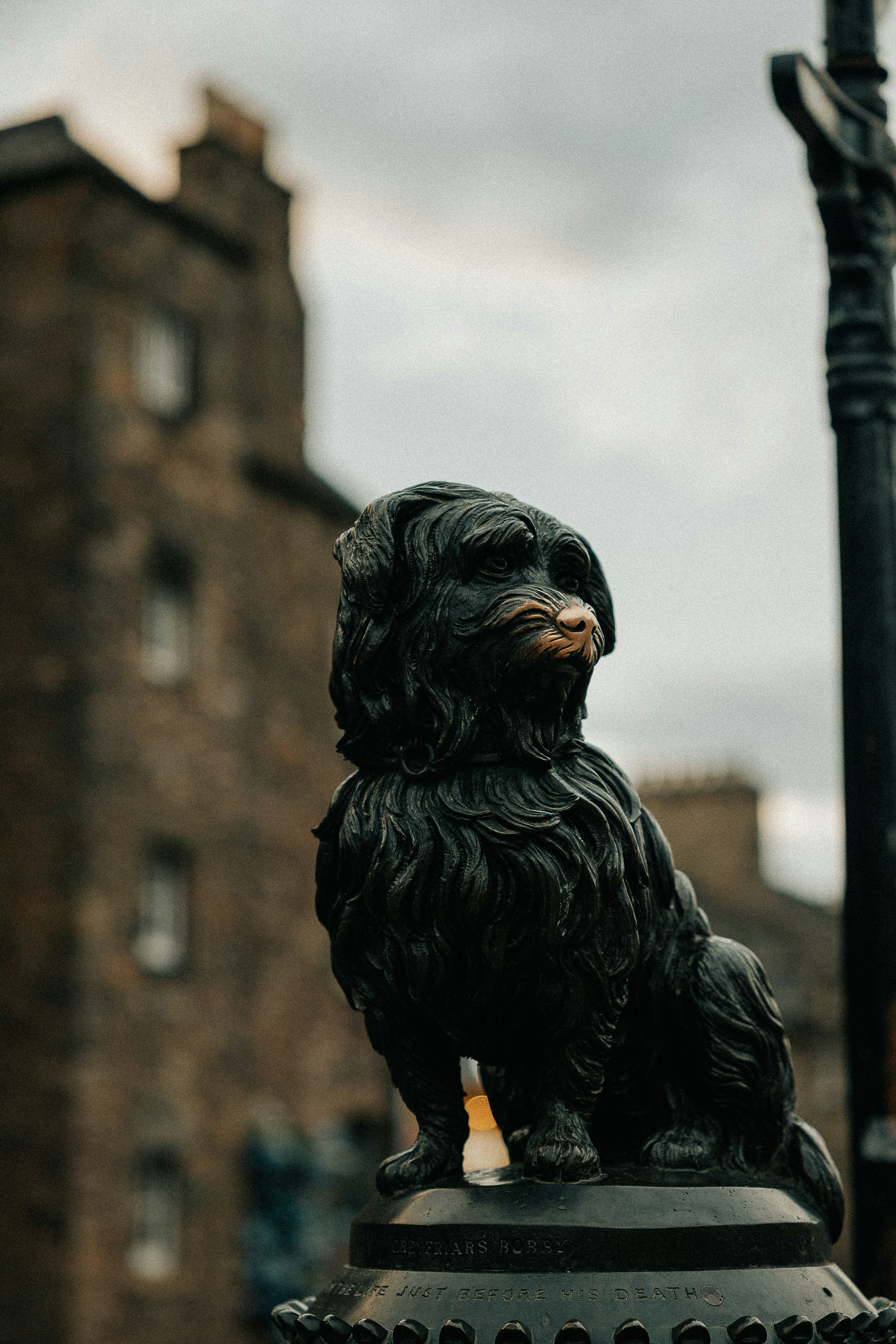 The Loyal Guardian of Greyfriars