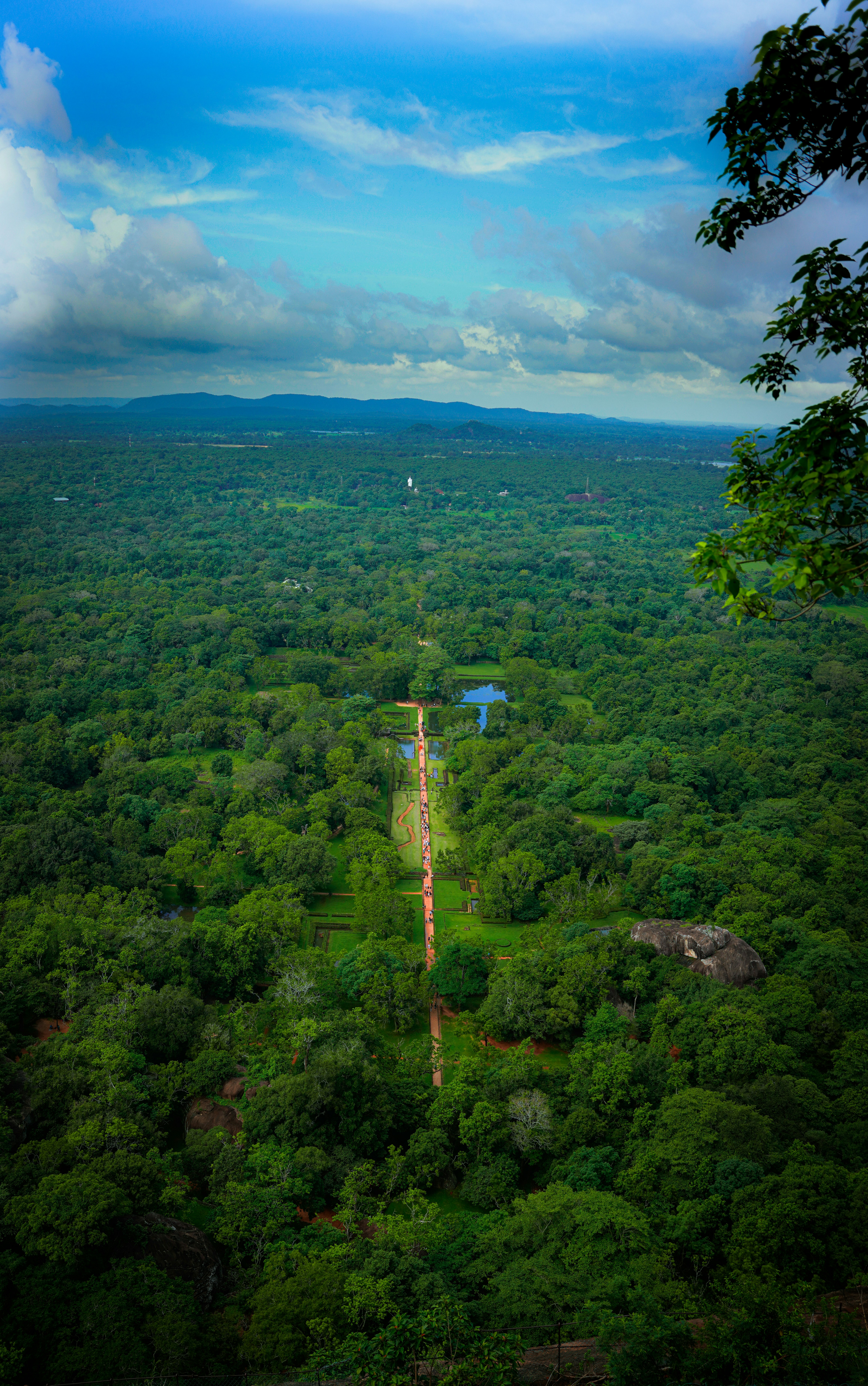 Captured this from the top of Sigiriya | Green landscape with a path leading into the distance.