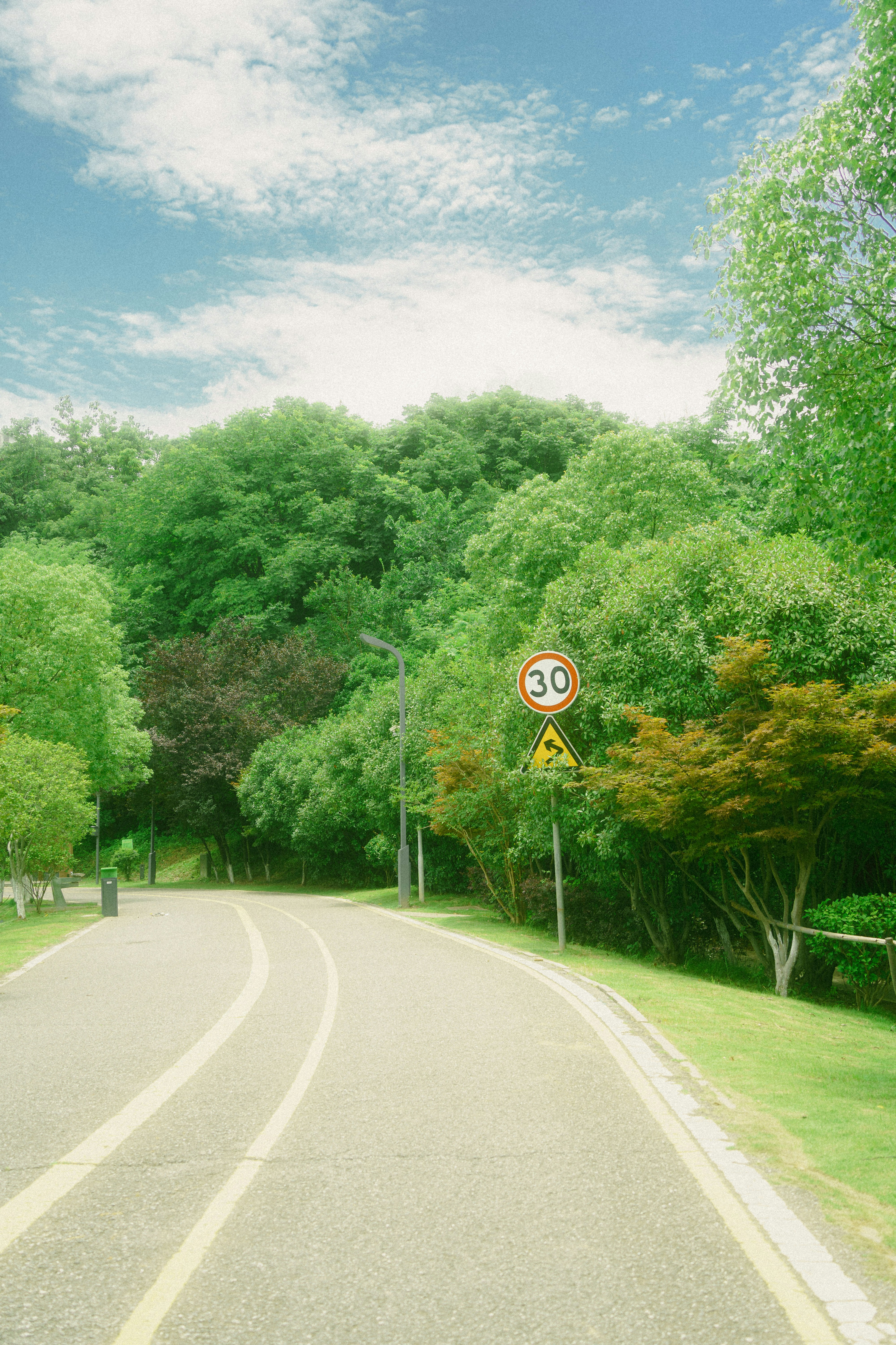 A winding road through a lush green forest.