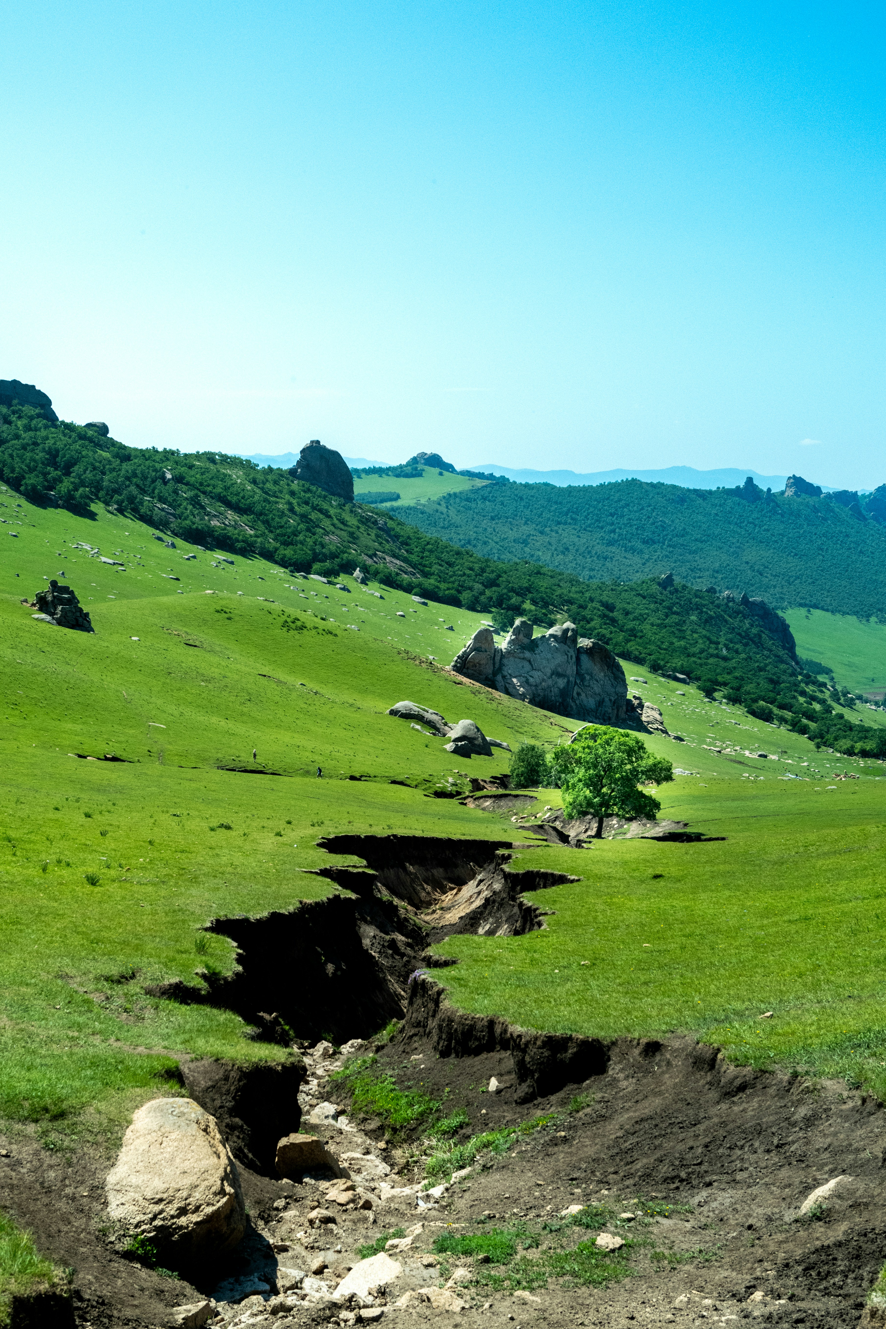 Nature's Wound: The Landscape's Silent Story