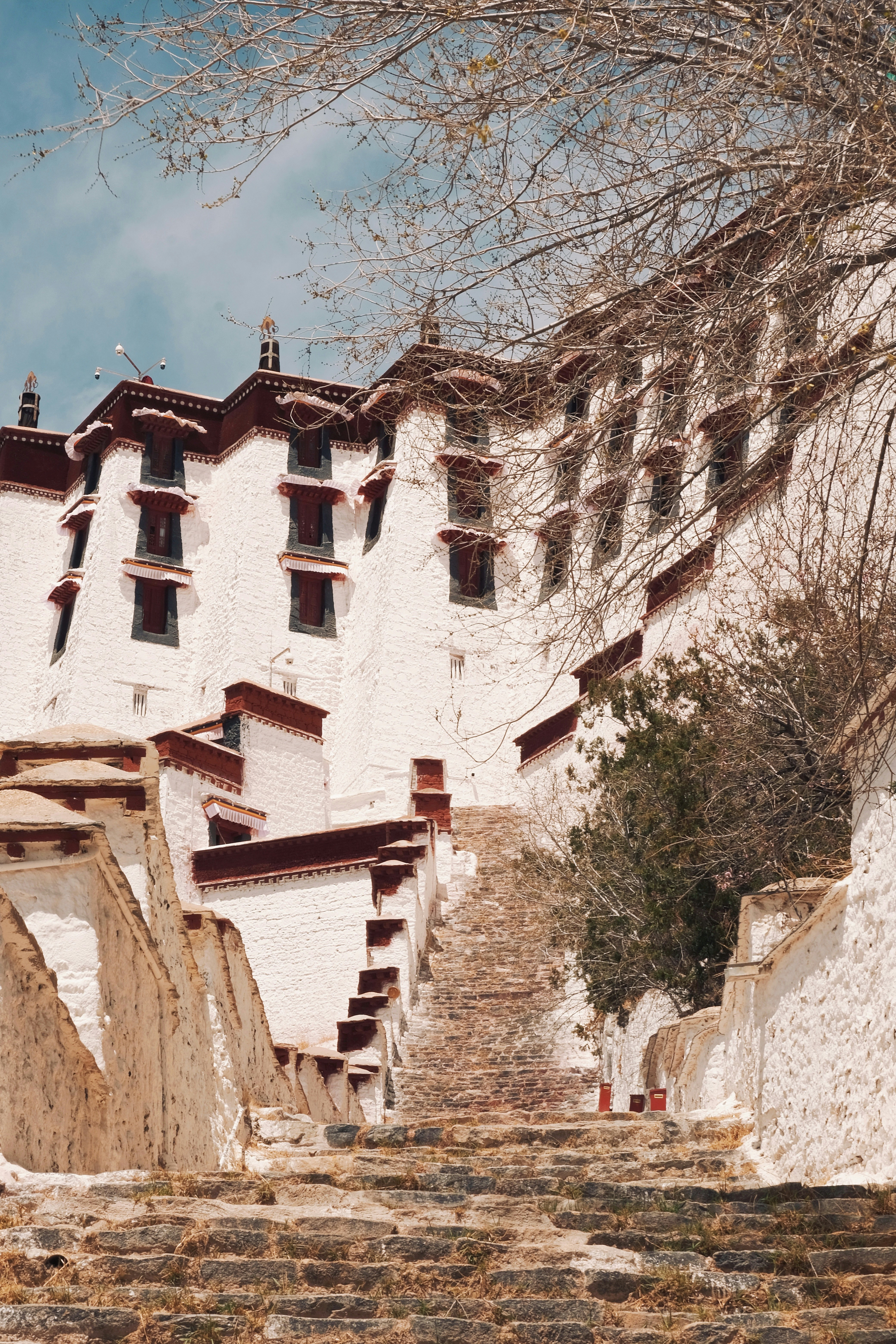Steps to Serenity: The Ascent to Ancient Wisdom