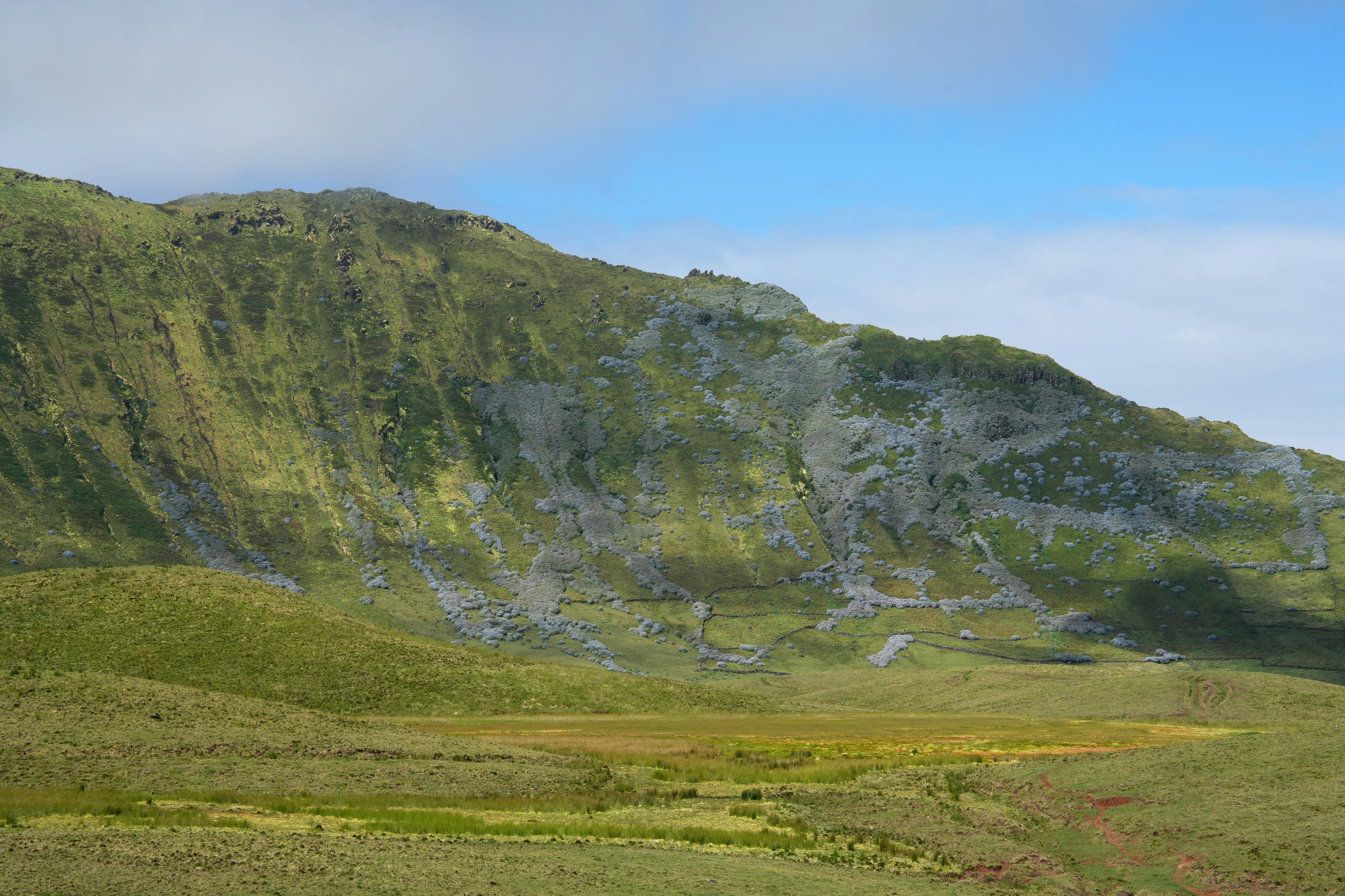 Vibrant green hillside with rocky outcrops under a partly cloudy sky, showcasing the intricate textures of the landscape. 