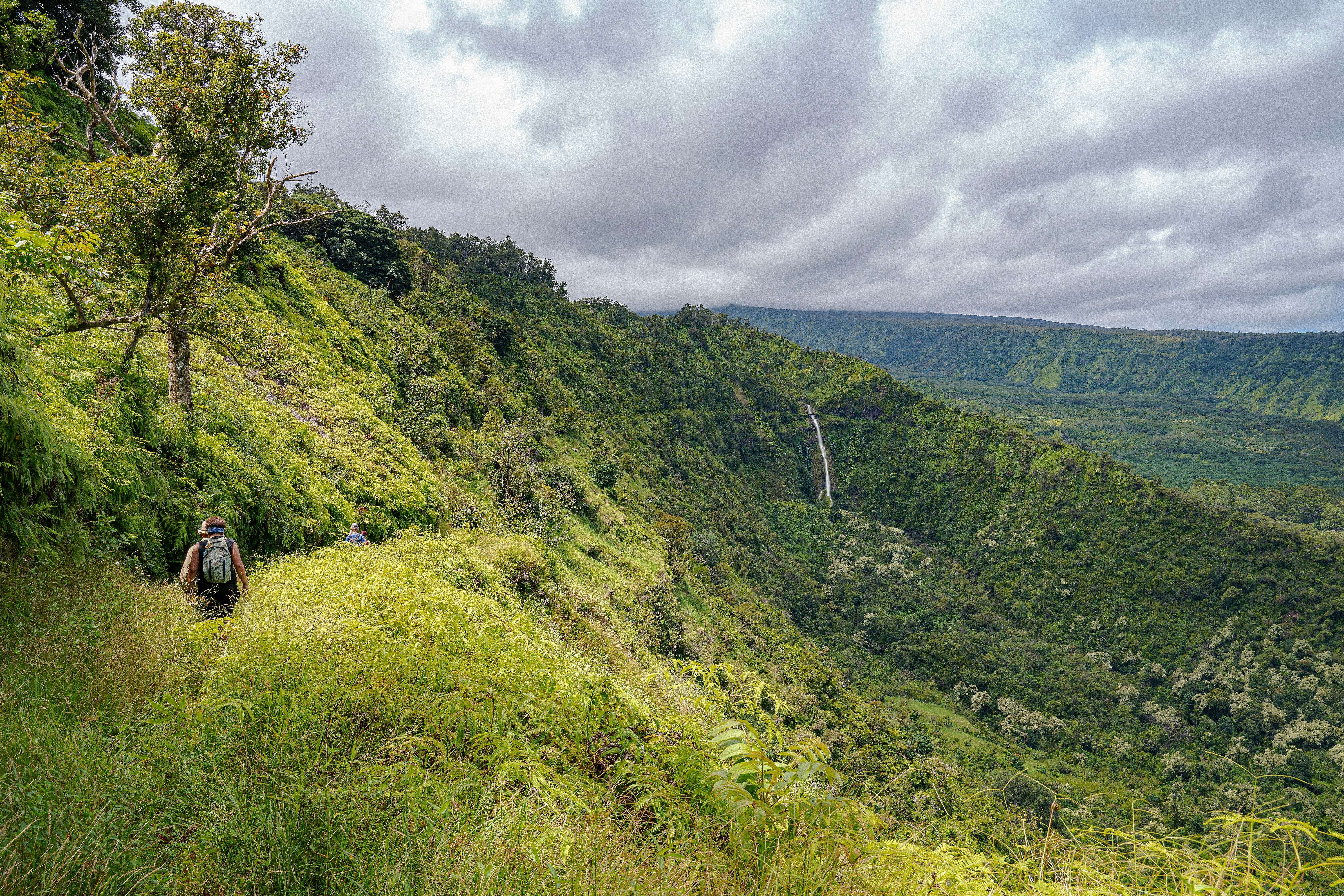 Journey Through Verdant Valleys