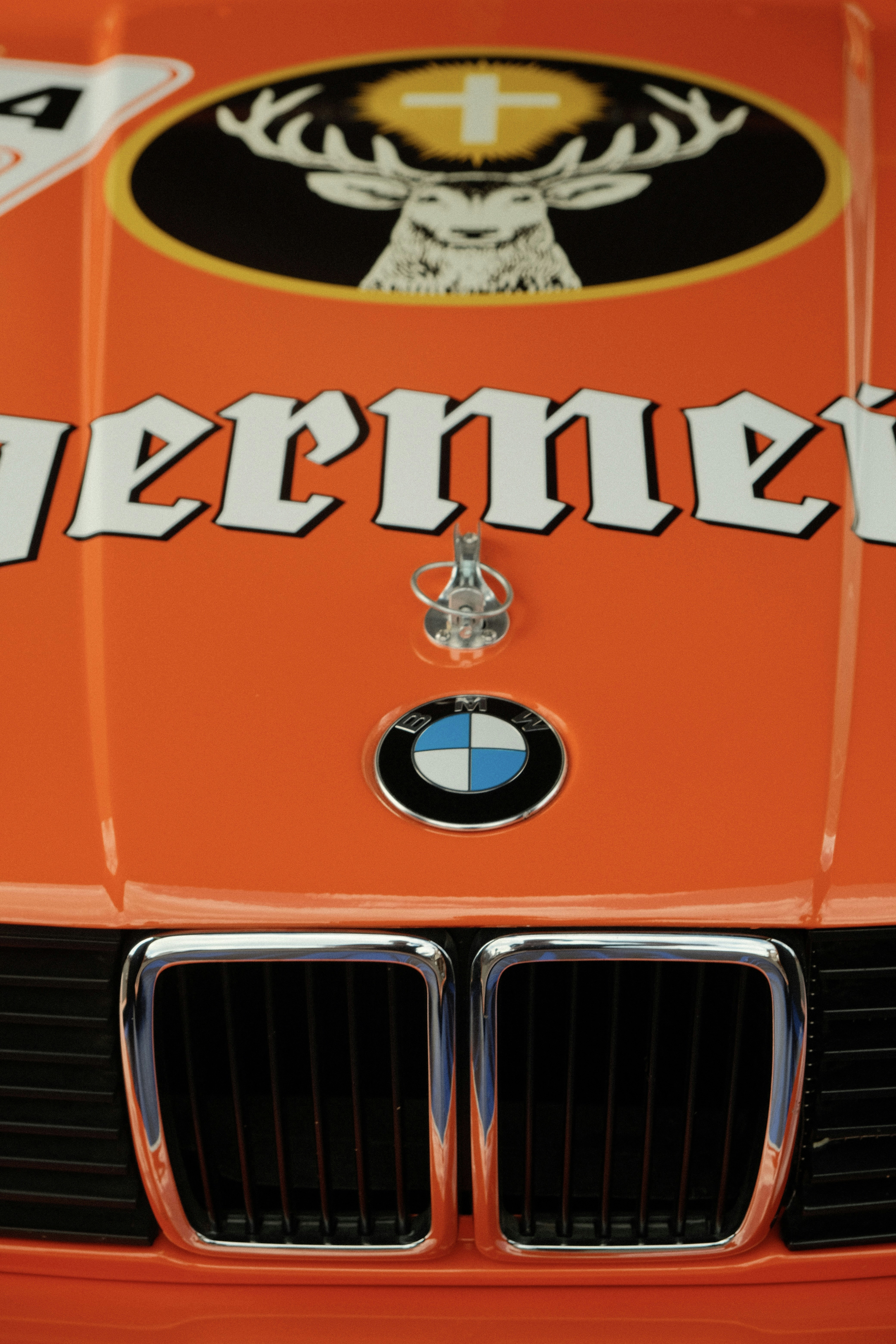 Vibrant Automotive Emblem on a Classic Canvas