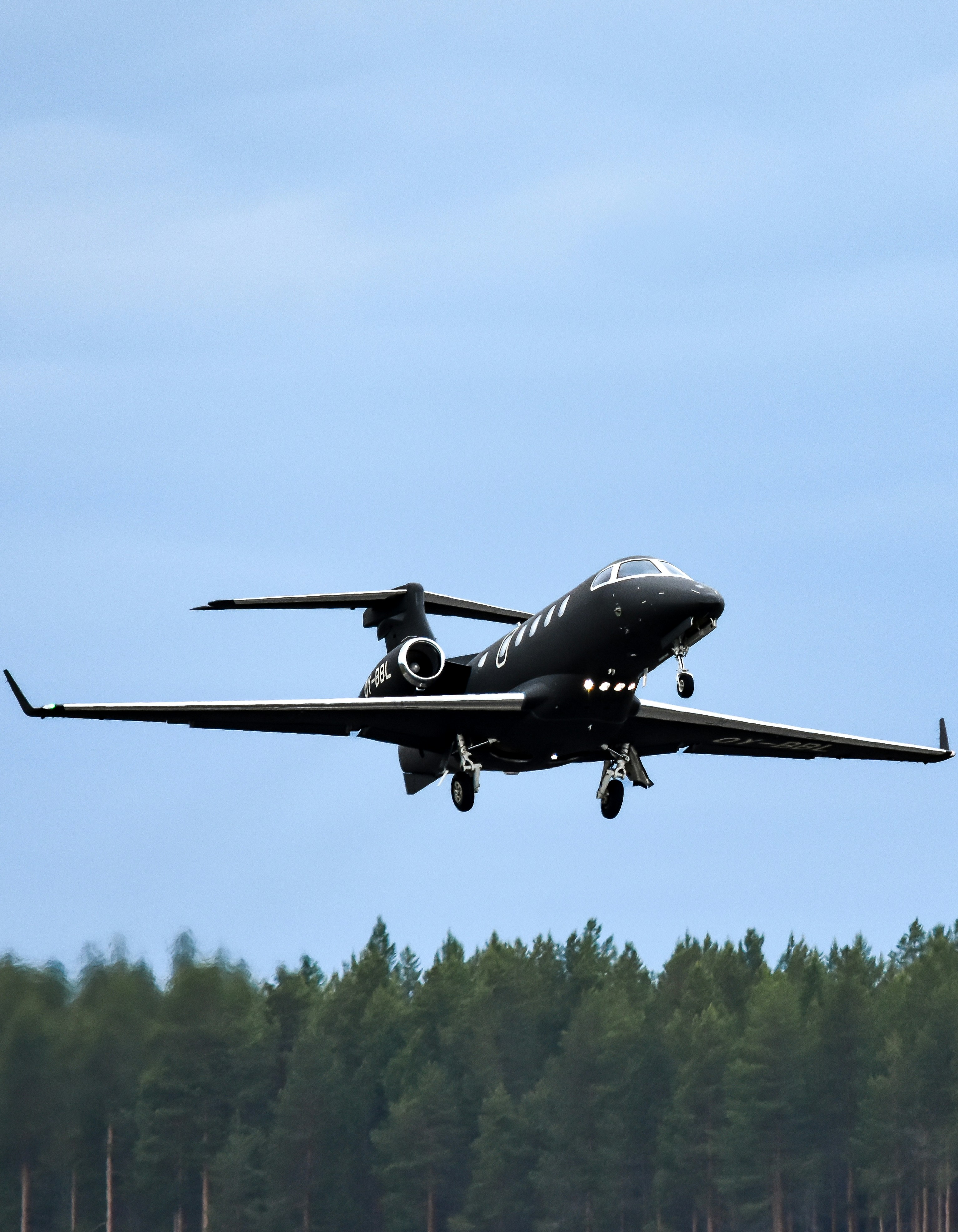 Noir Jet in Quiet Descent Over a Pine Forest