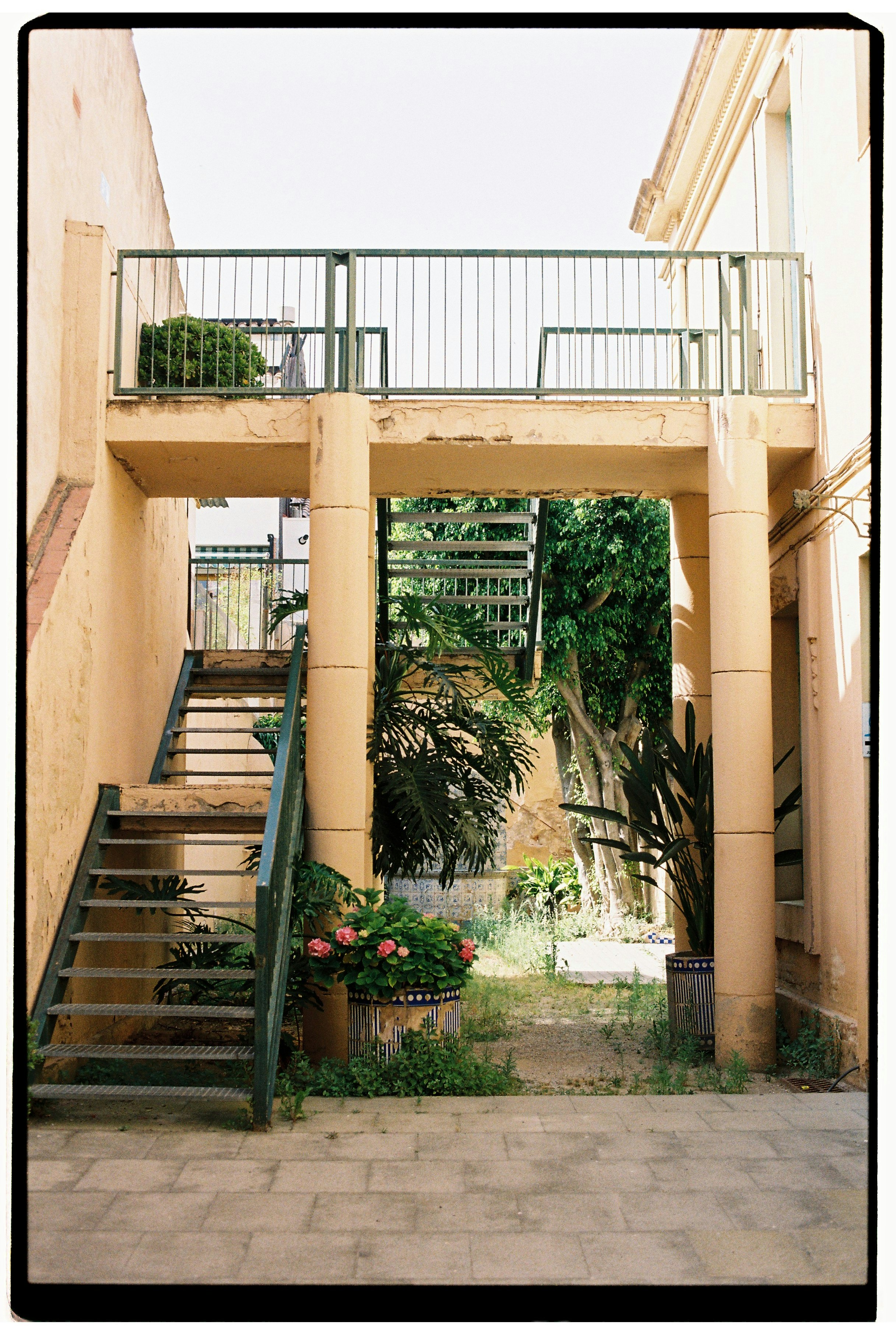 Hidden Oasis: A Stairway to Serenity