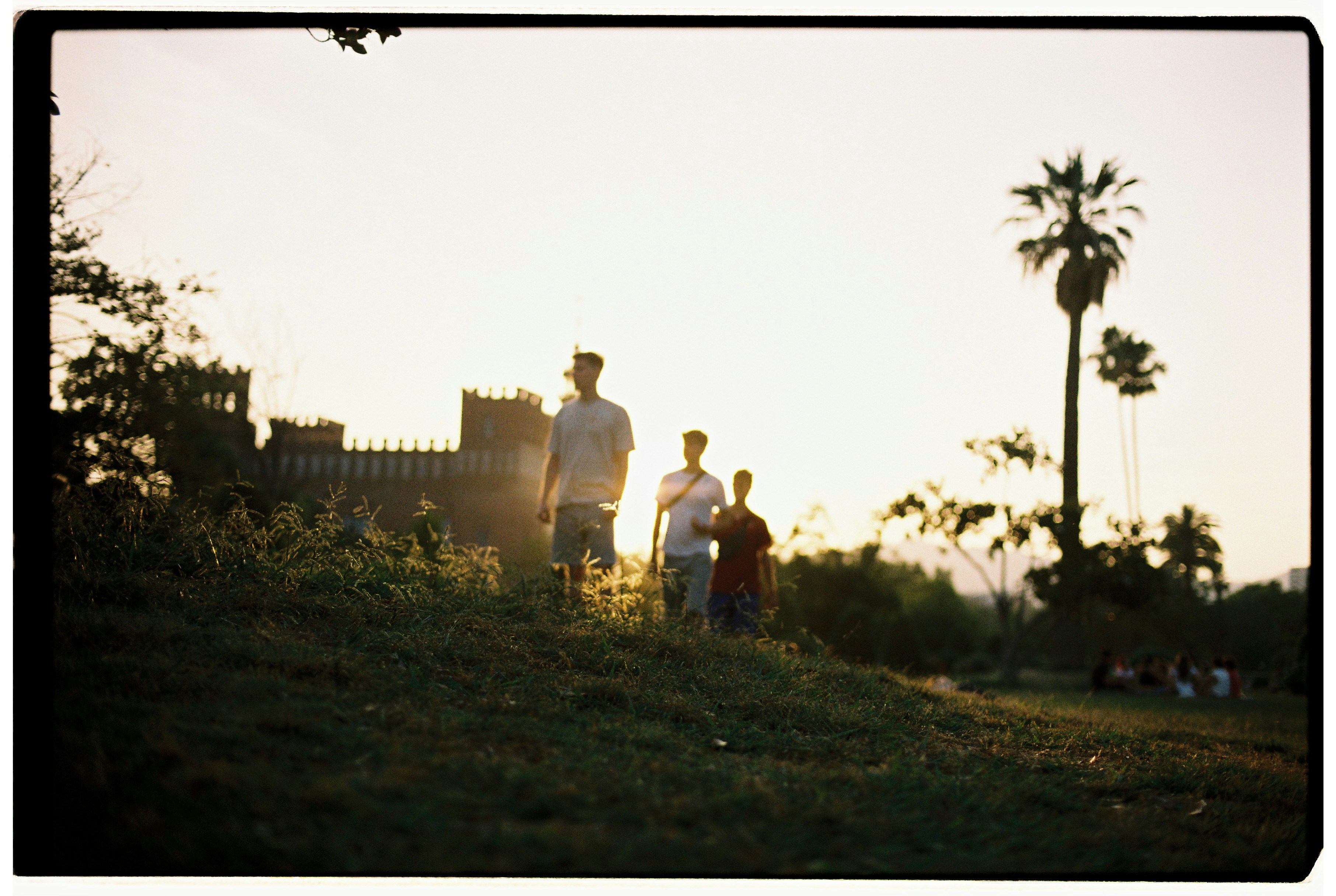 Echoes of Evening Strolls