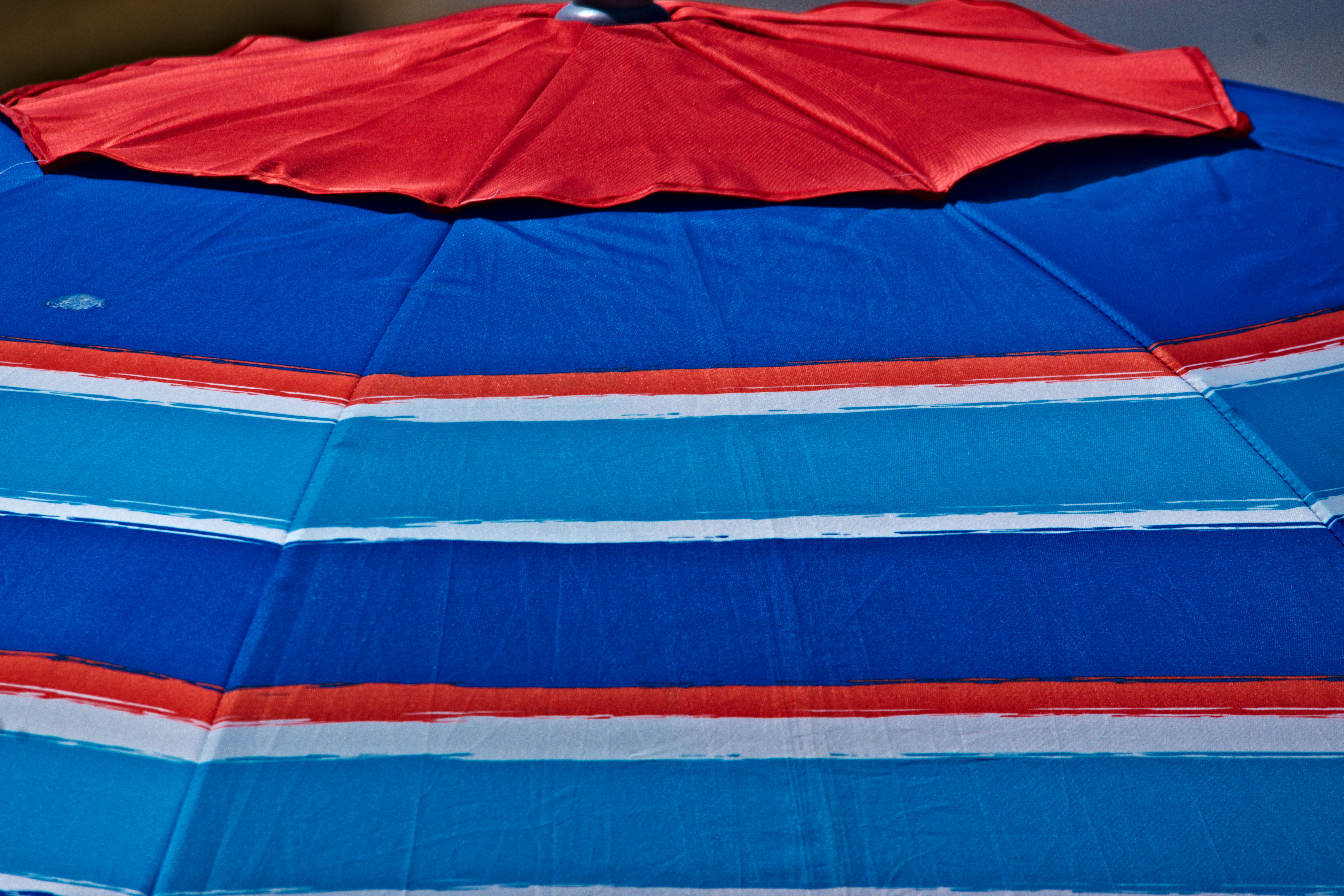 Colorful Canopy: A Summer's Embrace