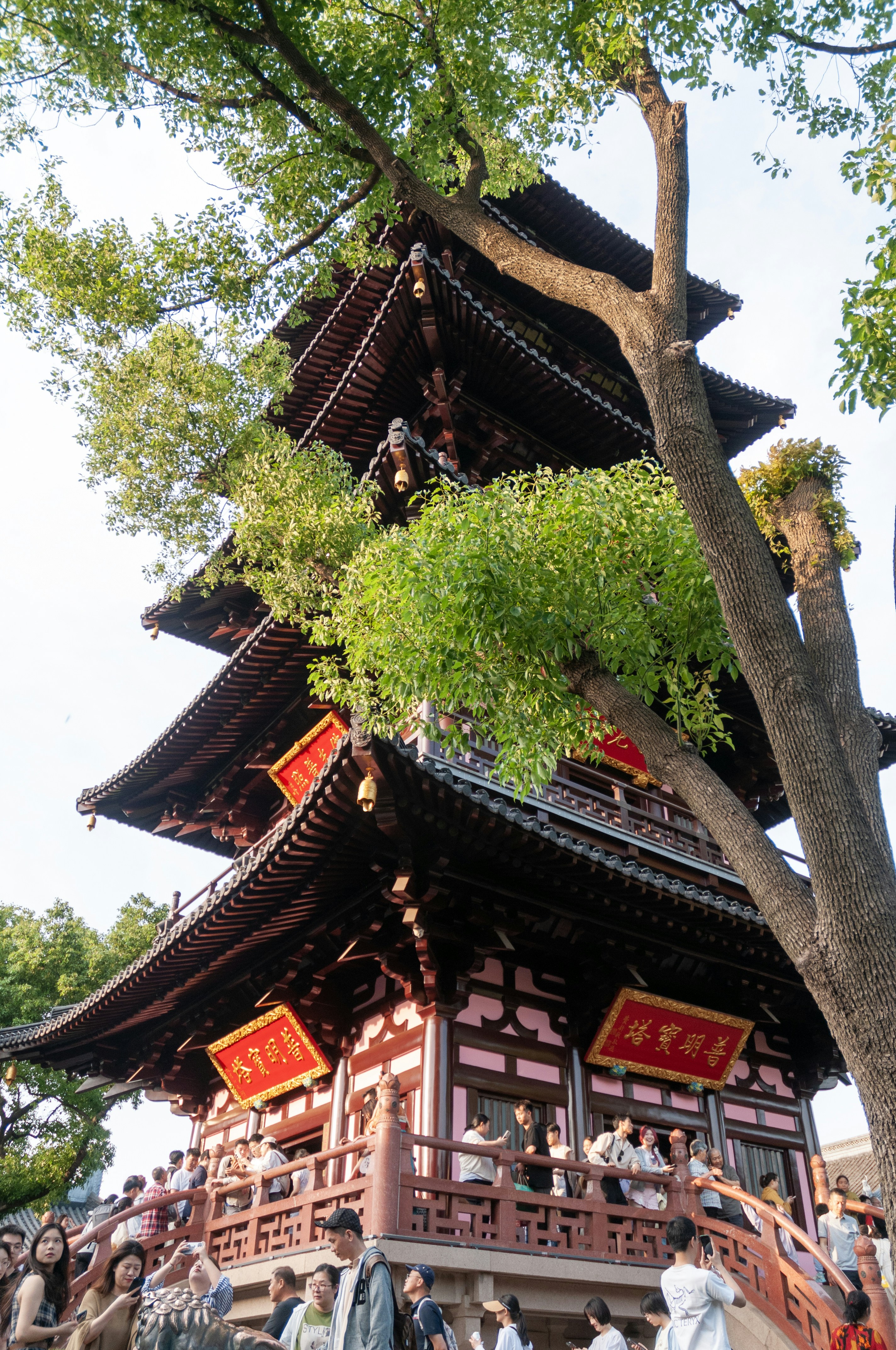 Canopy and Cadences: The Five-Tiered Pagoda Above the Crowd