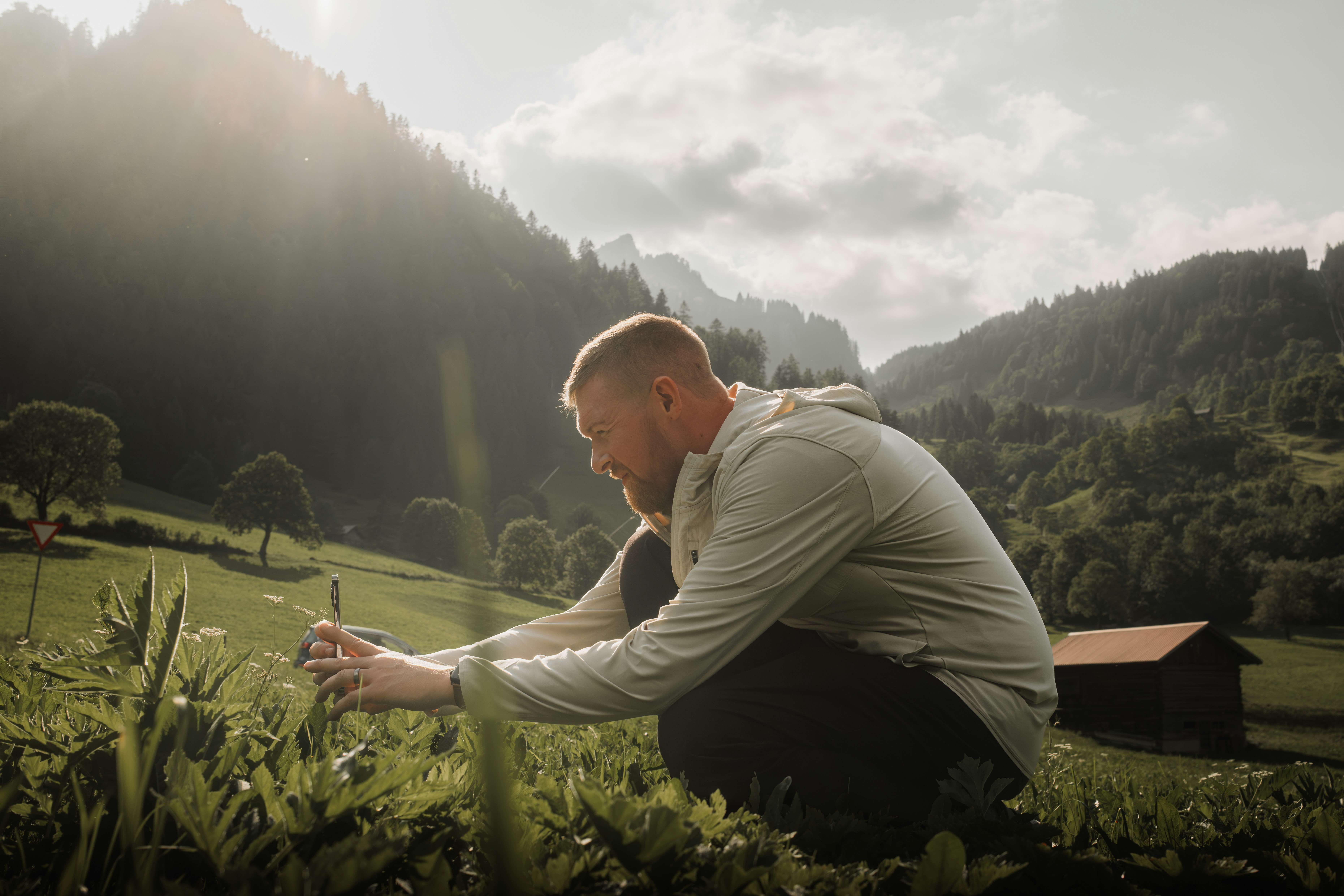 Knee‑deep in sunlight: a man in field sketching nature