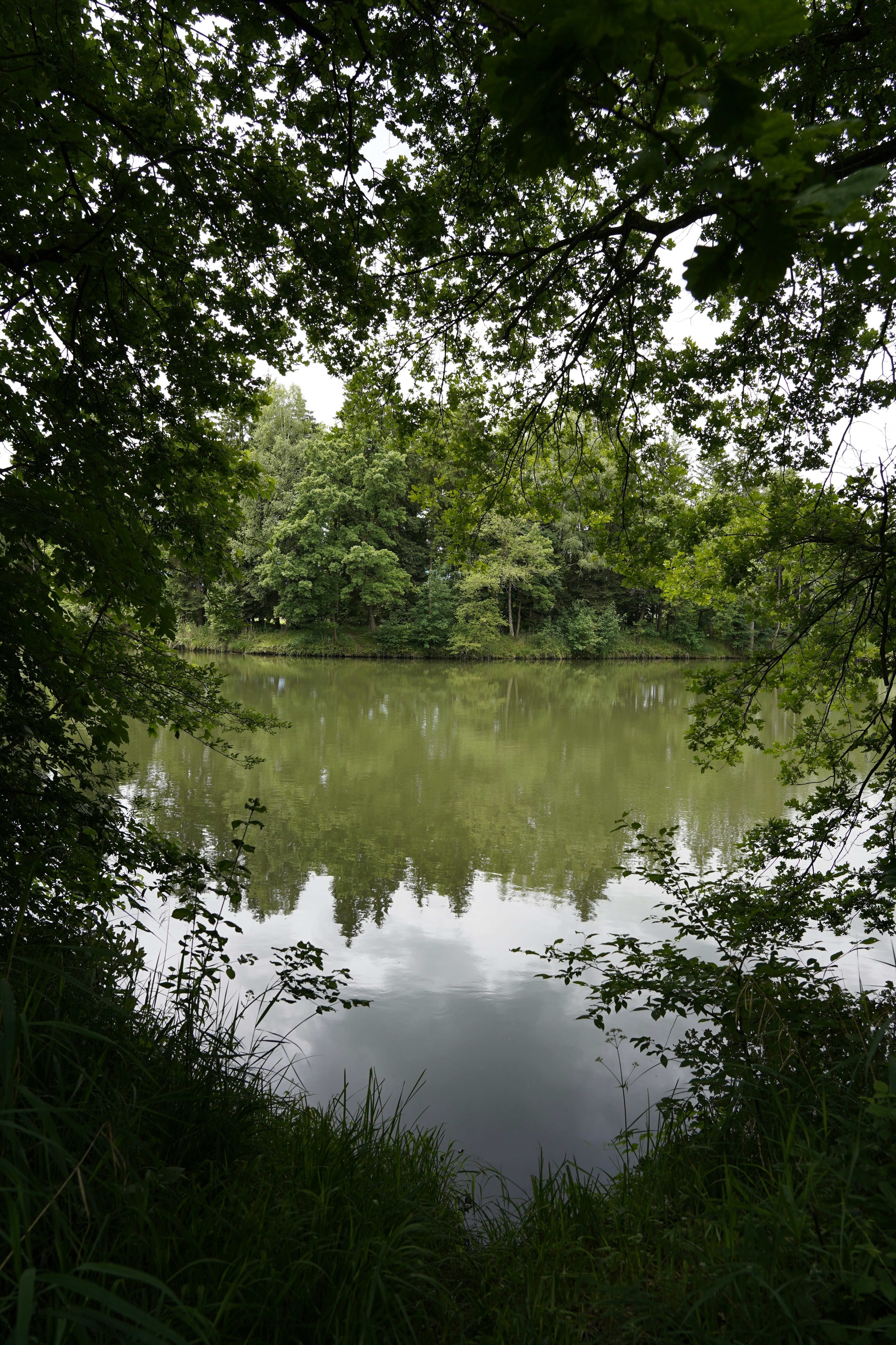 Lush greenery frames a tranquil pond, reflecting the surrounding trees and sky. The scene invites contemplation and connection with nature.