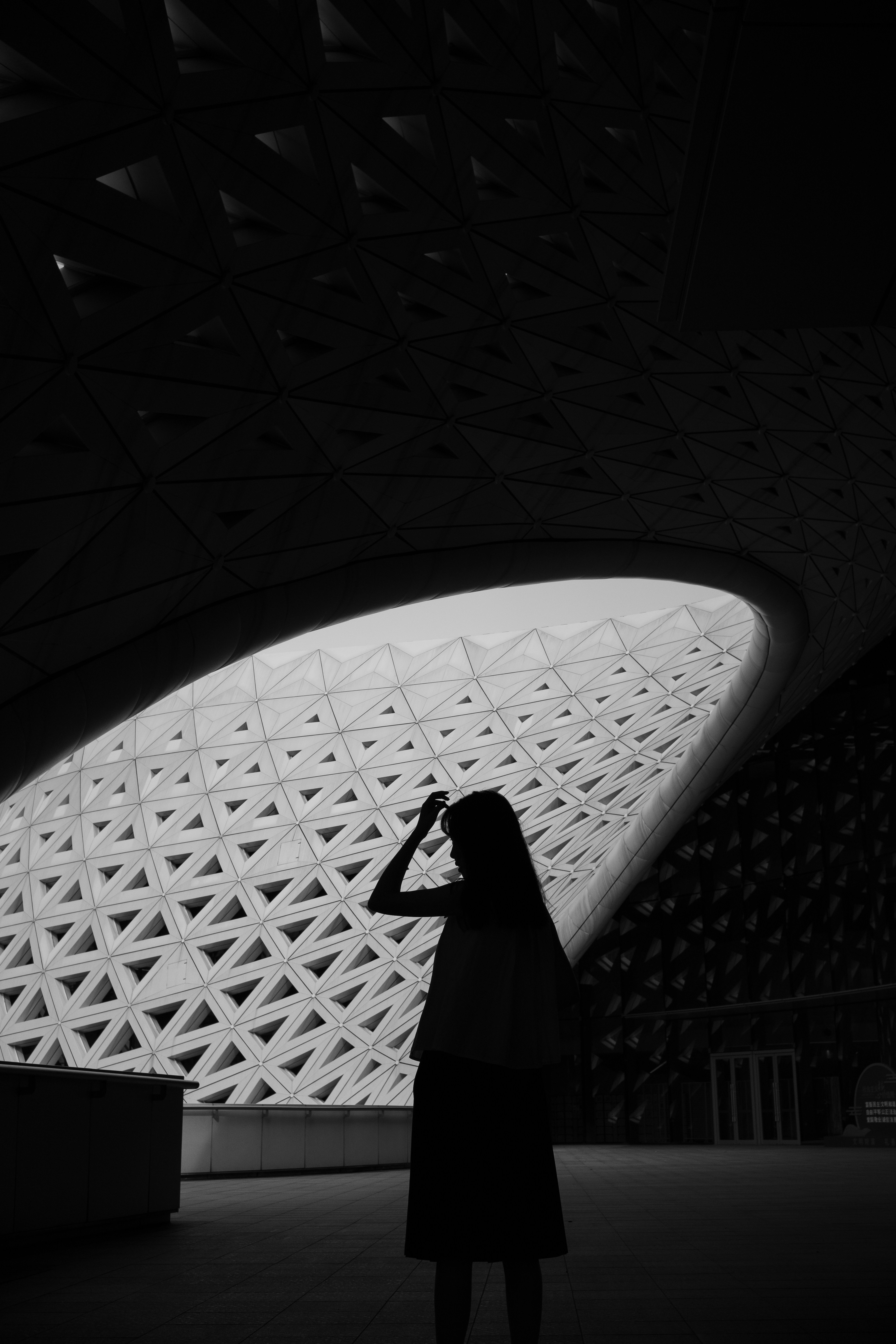 Silhouette of a person under a geometric ceiling. photo – Free Image on ...