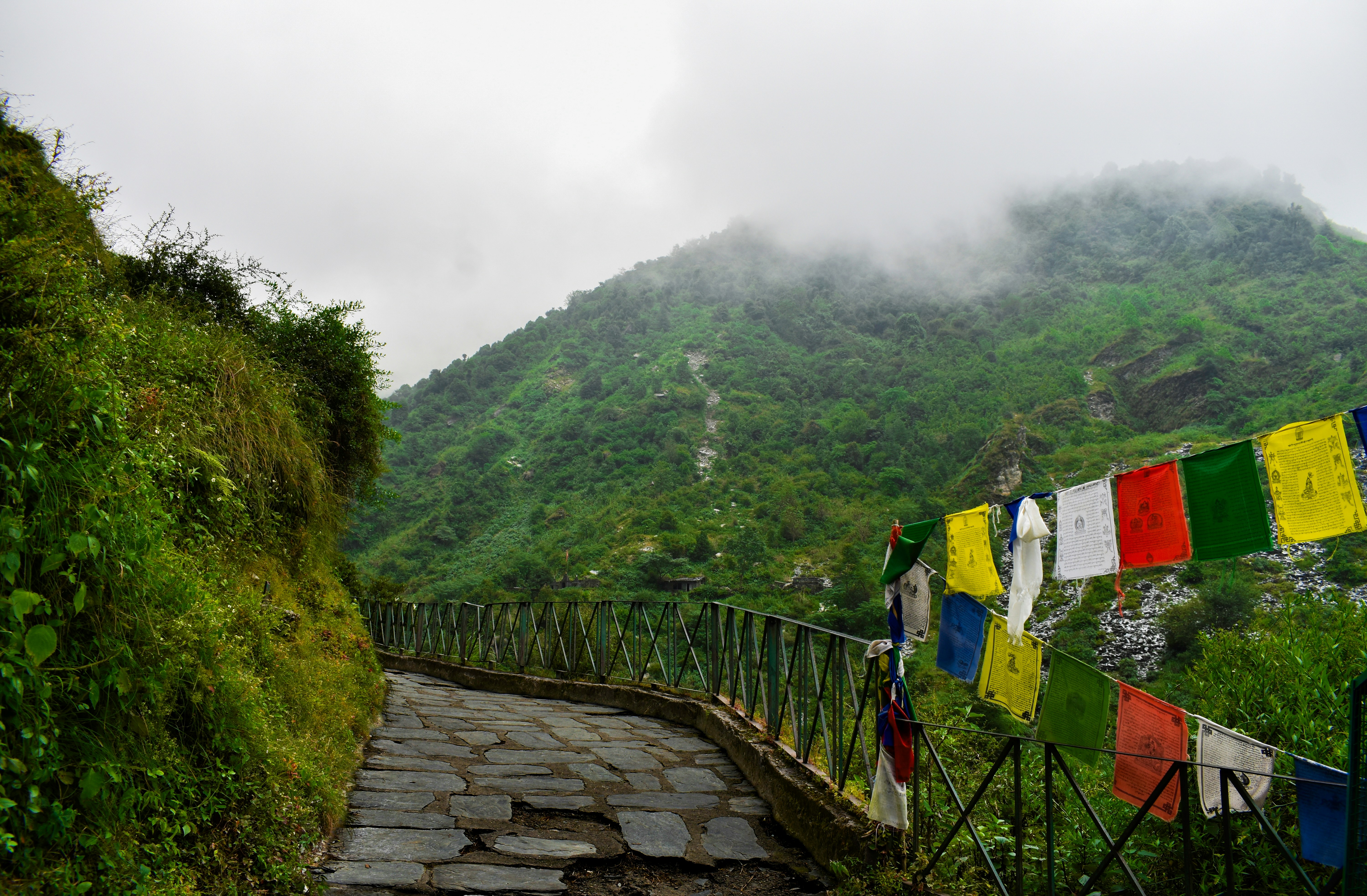 Whispers of the Mountain Path