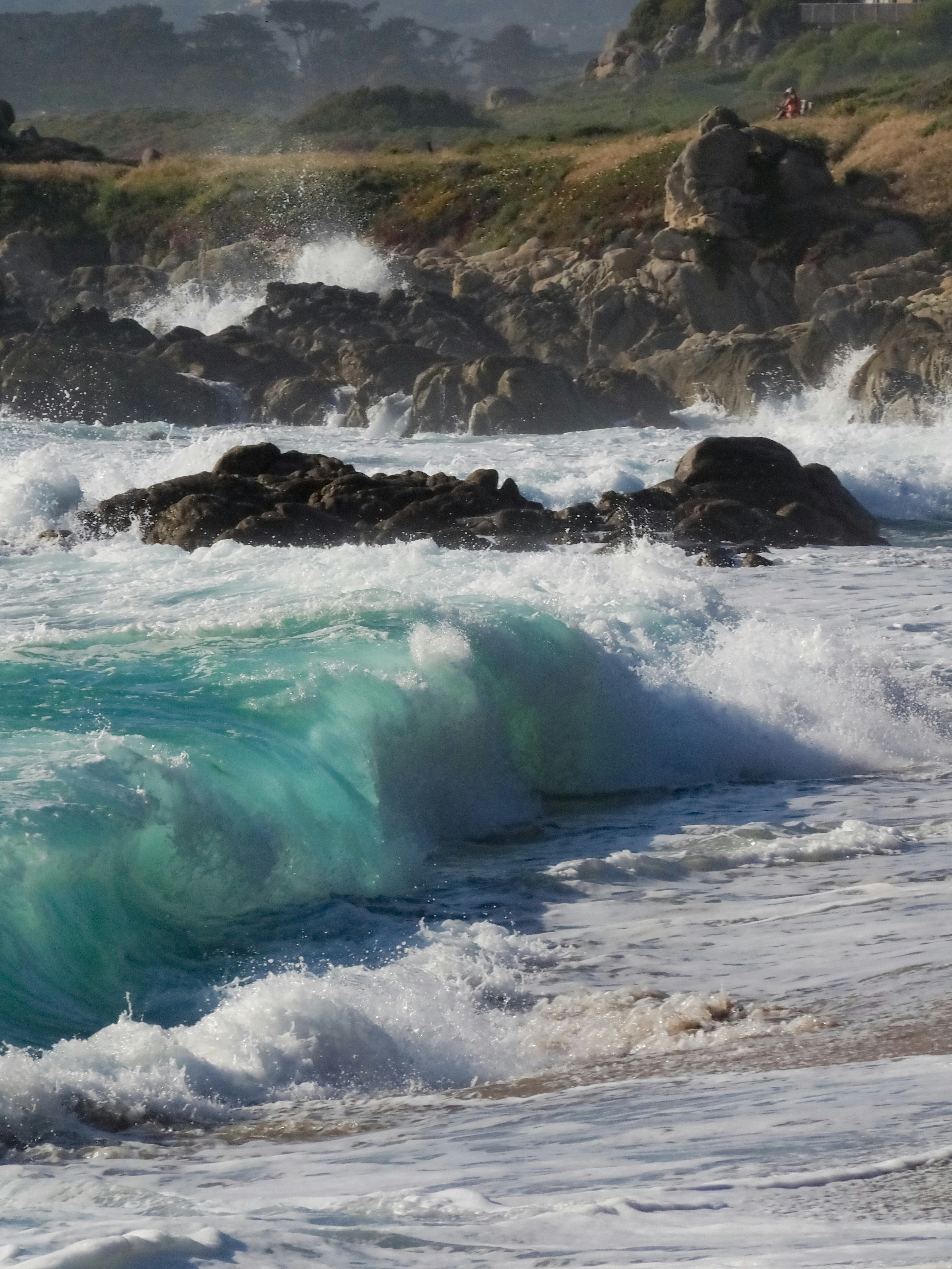 Iris Yan (@iriiiis) | Communauté photos Unsplash