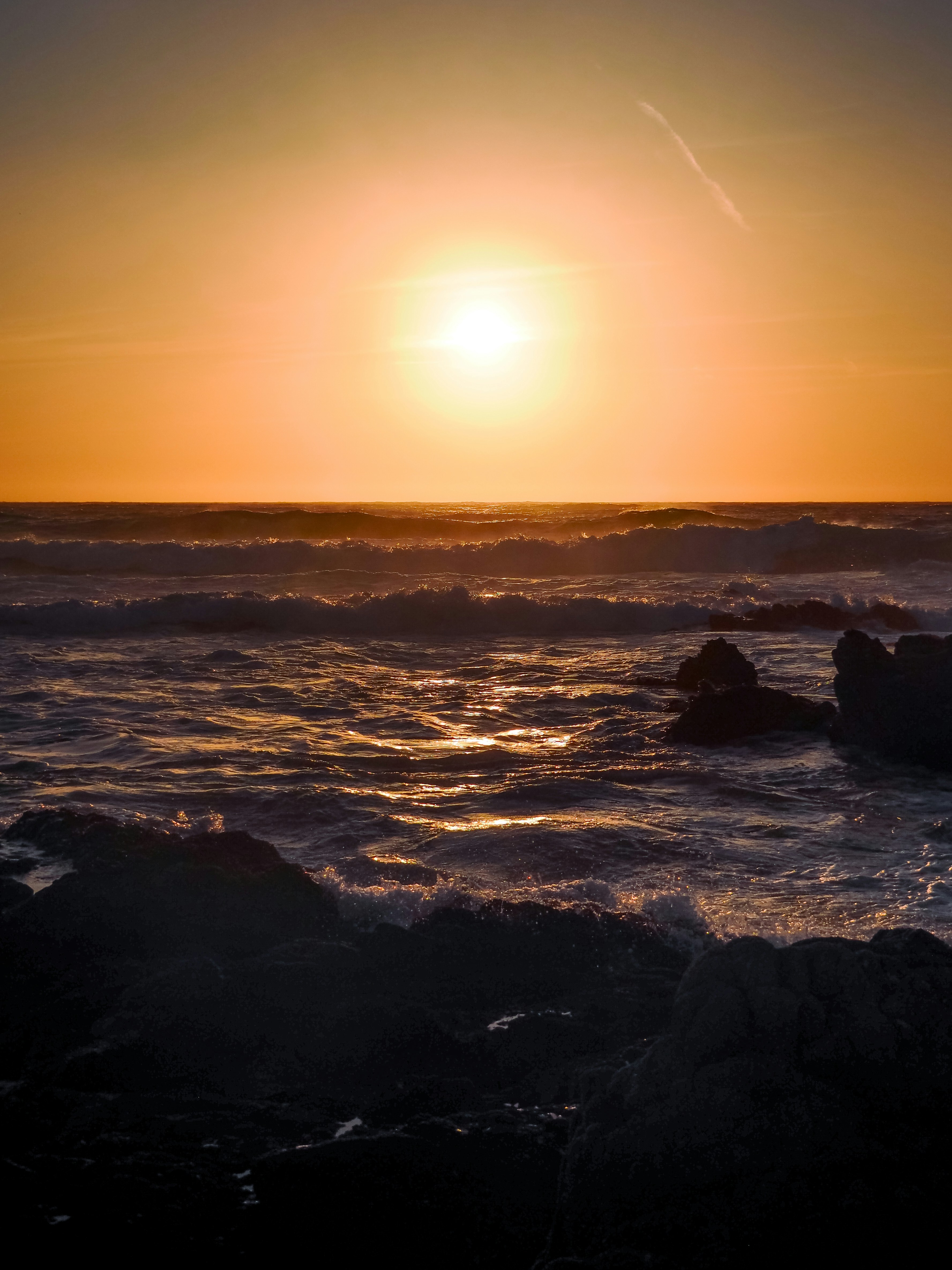 Iris Yan (@iriiiis) | Unsplashフォトコミュニティ