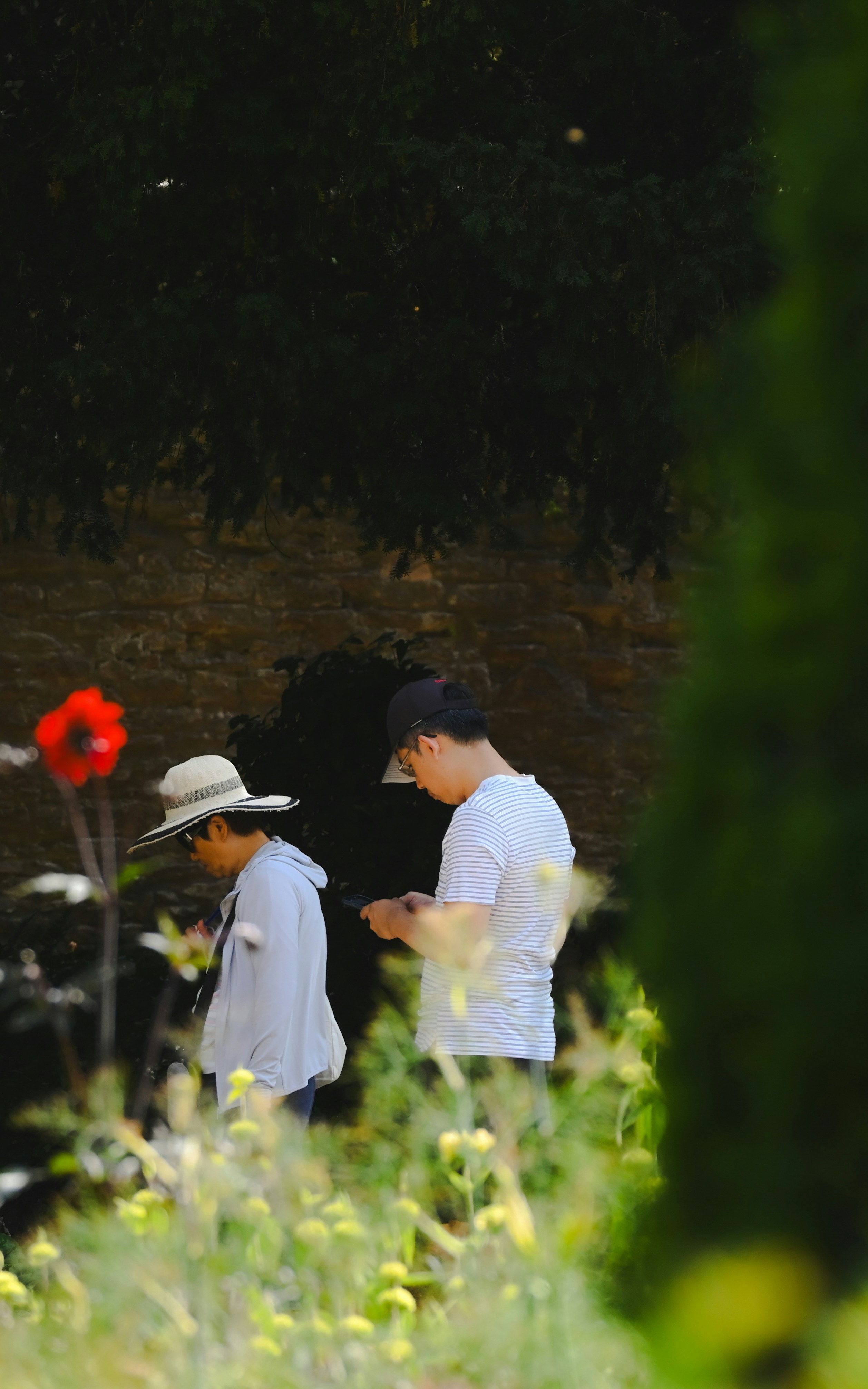 Enjoying the flowers 🤳