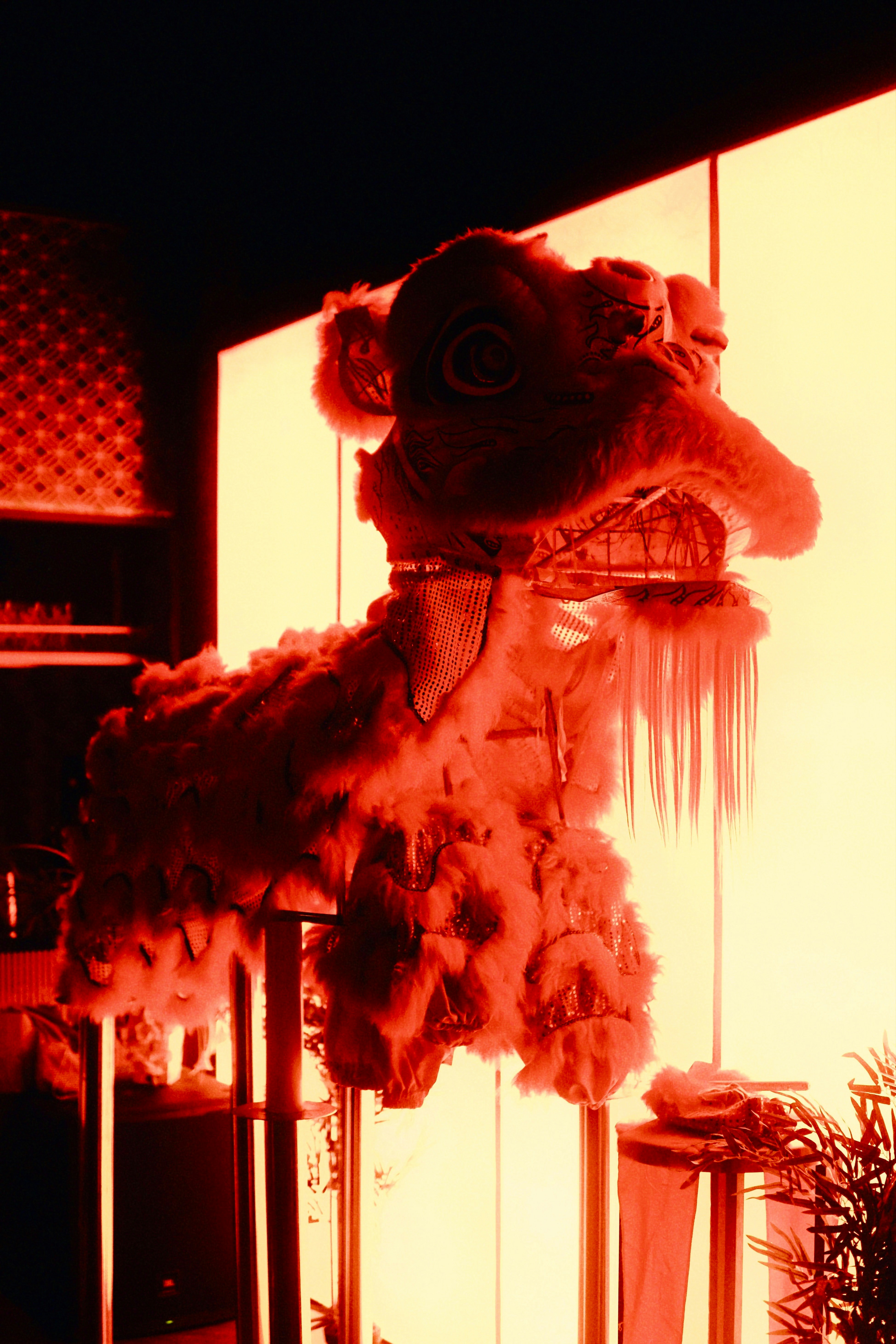 Crimson Backlight: A Plush Dragon Emerges in a Neon Room