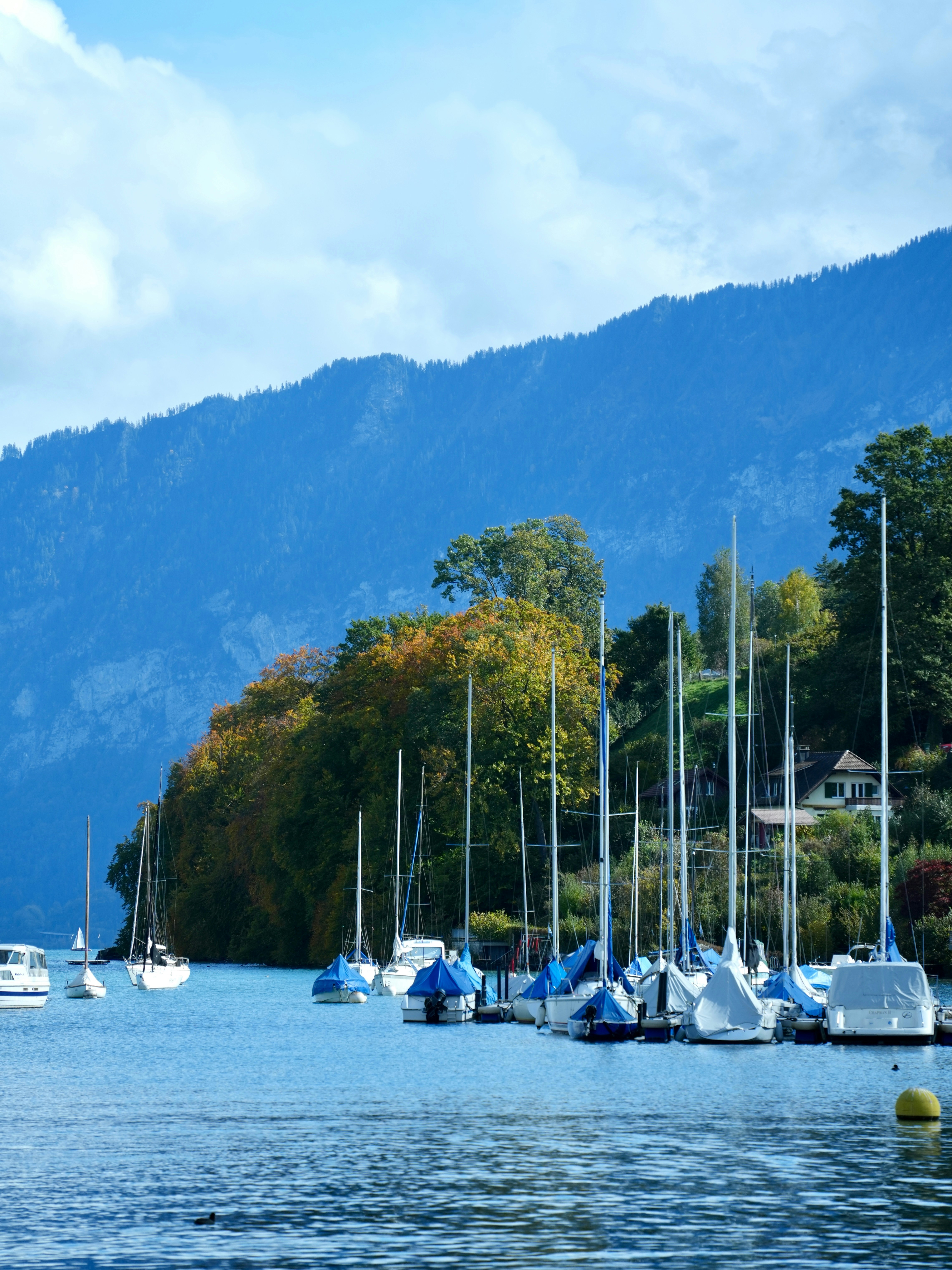 Photo by Lok Gwan with Sony Alpha 7 IV